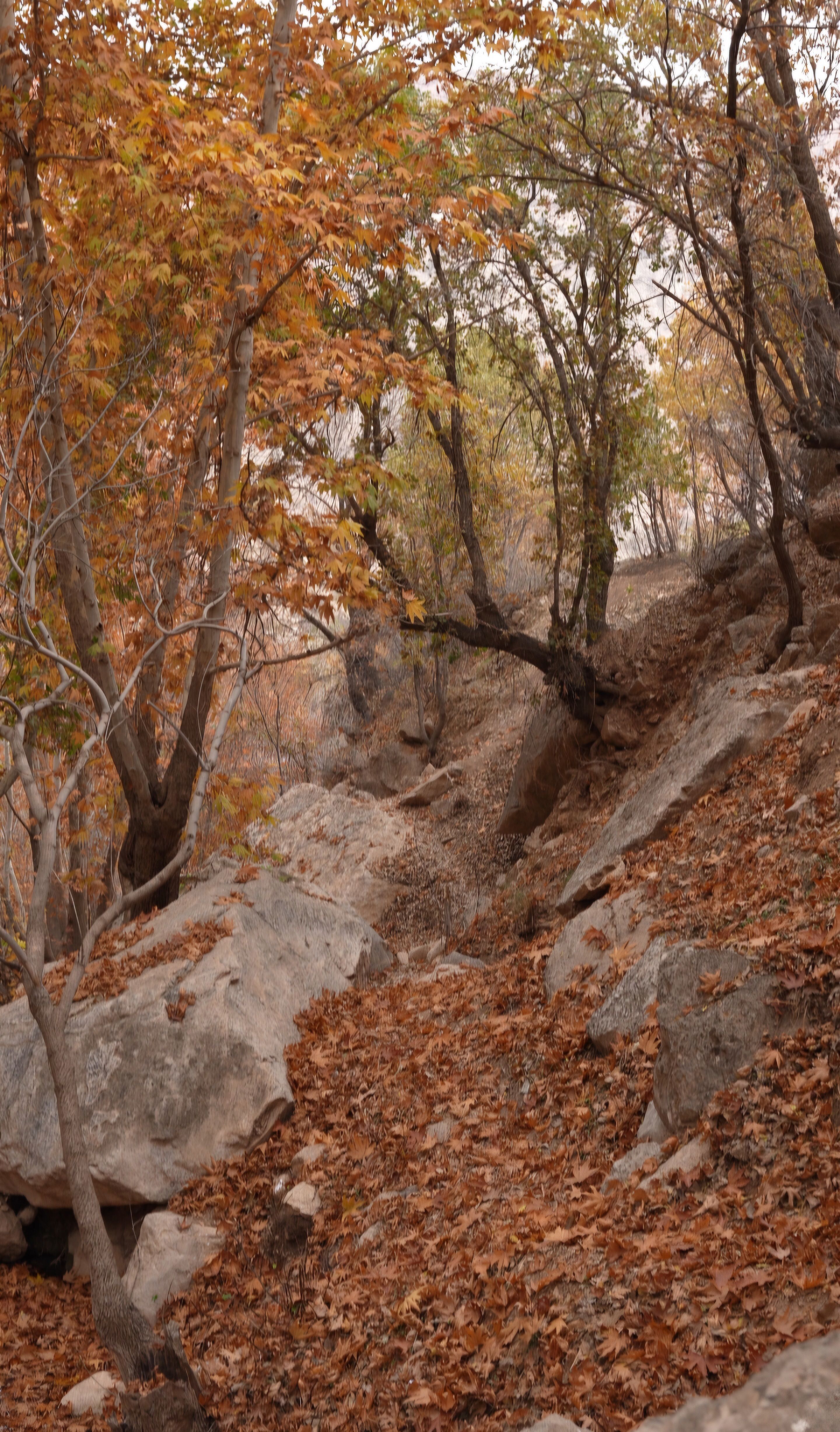 Kurdistan 4k Photos, Download The BEST Free Kurdistan 4k Stock Photos ...