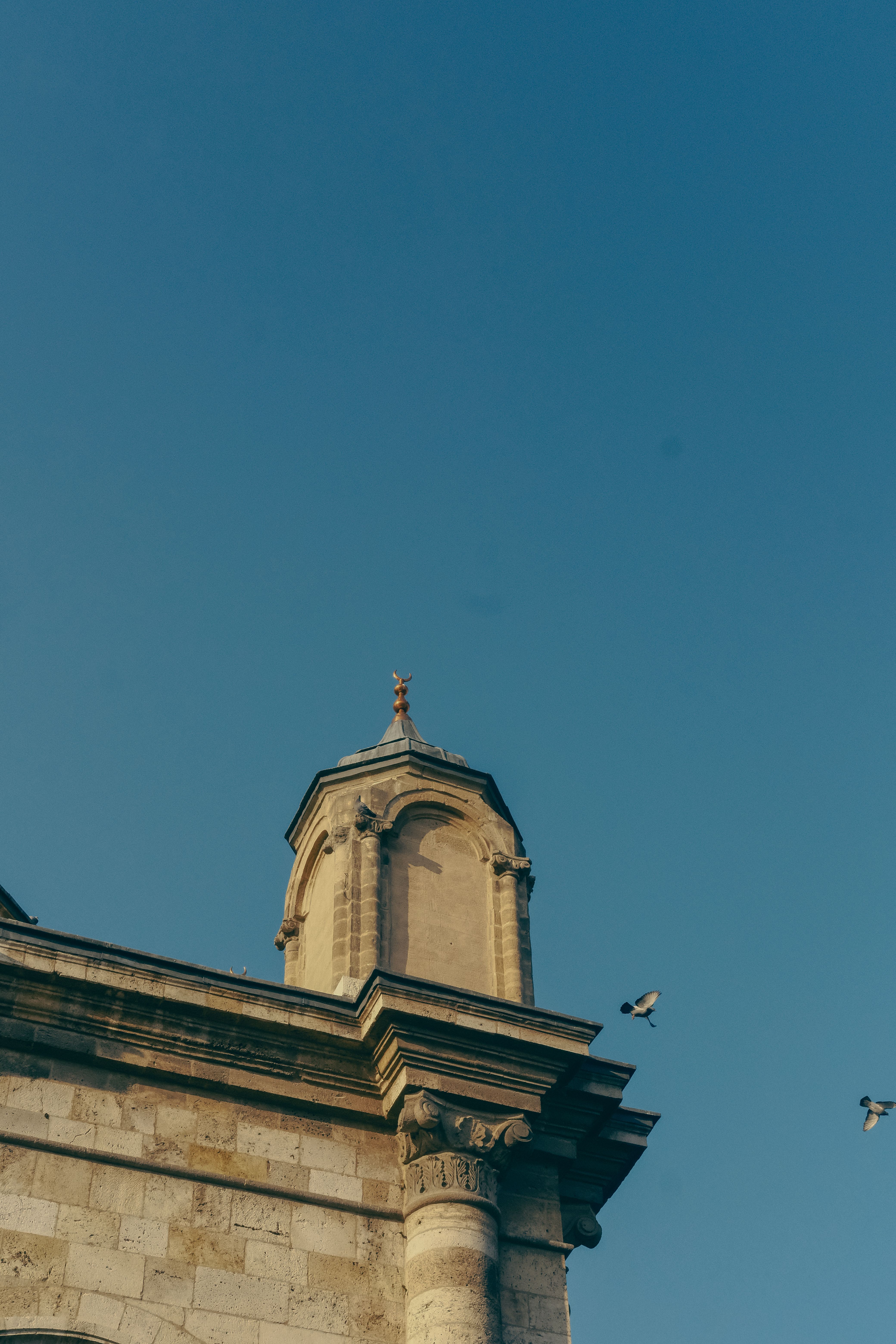 Historic Architecture with Birds in Konya Skyline · Free Stock Photo