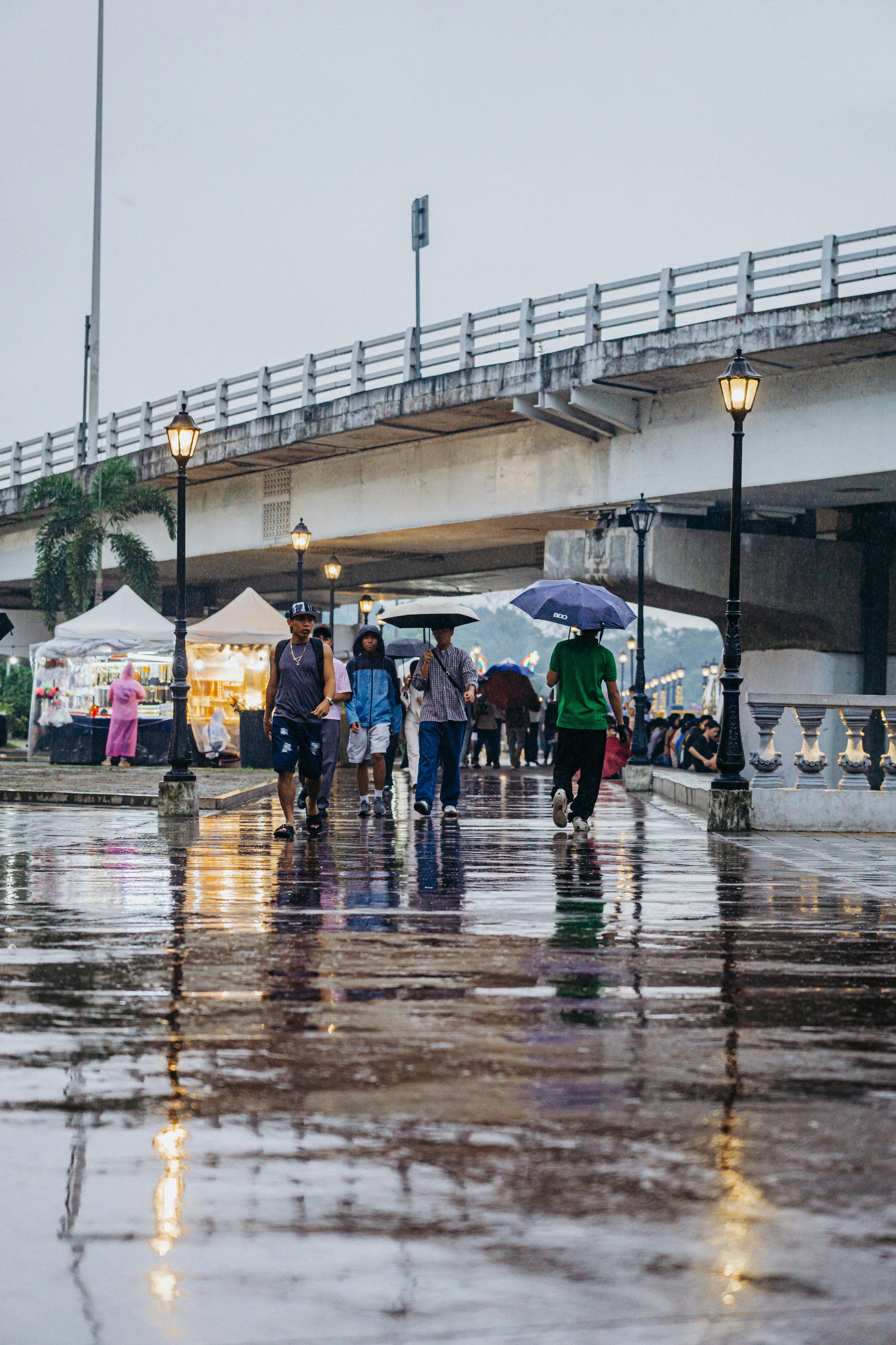 Raing At Night Photos, Download The BEST Free Raing At Night Stock ...