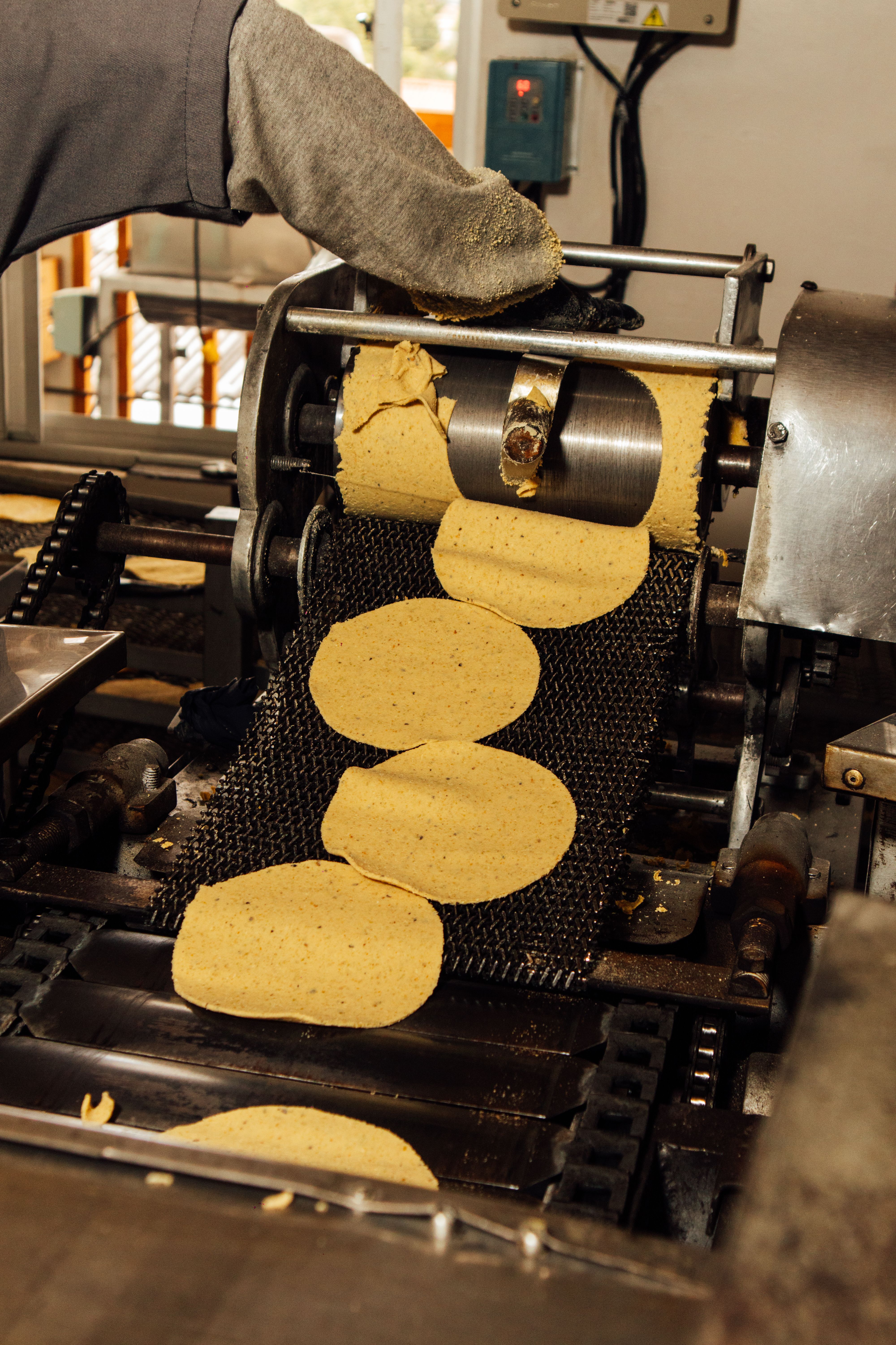 Industrial Tortilla Production Line in Operation · Free Stock Photo