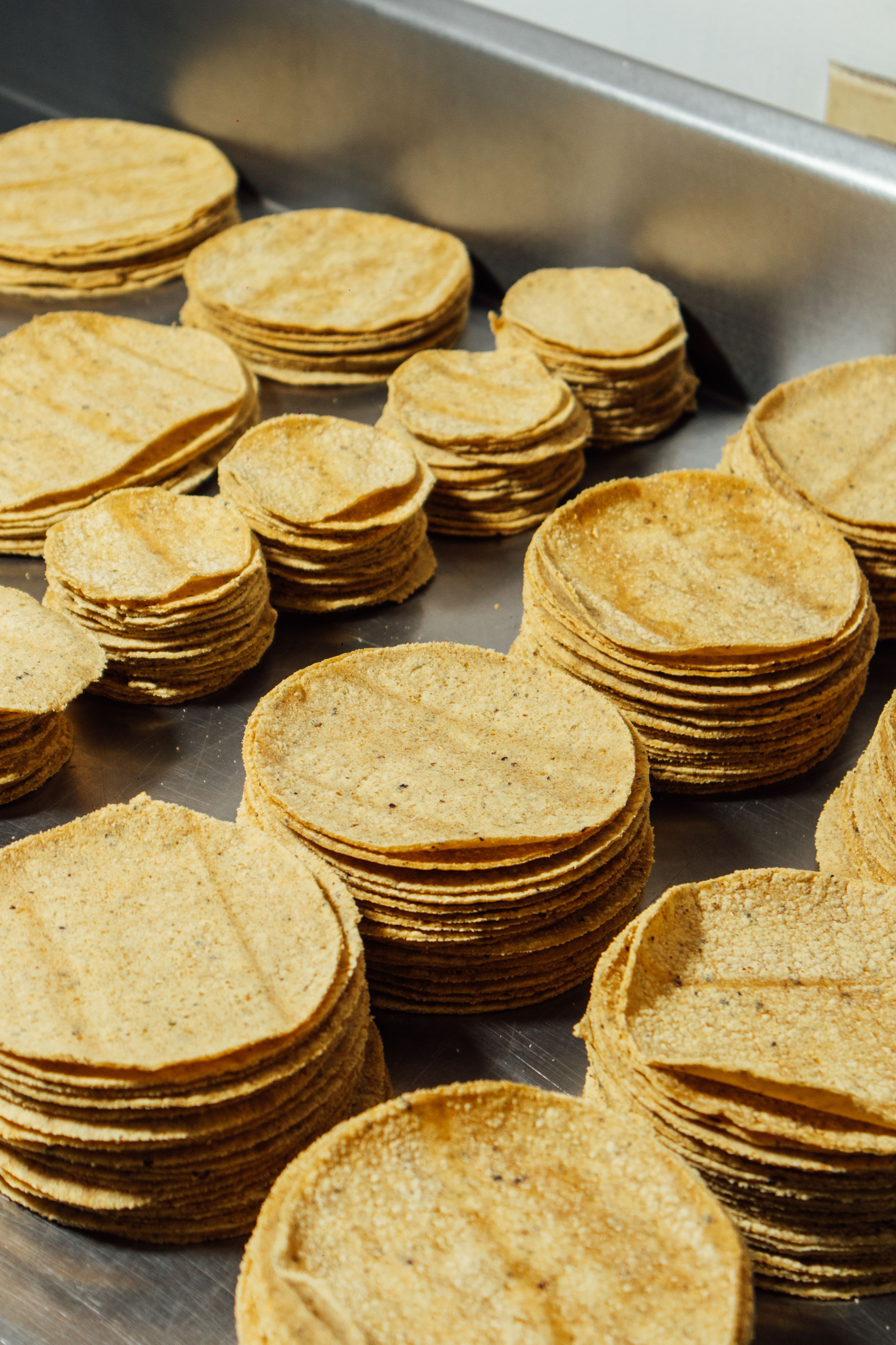 Stacks of Fresh Corn Tortillas on Metal Surface · Free Stock Photo