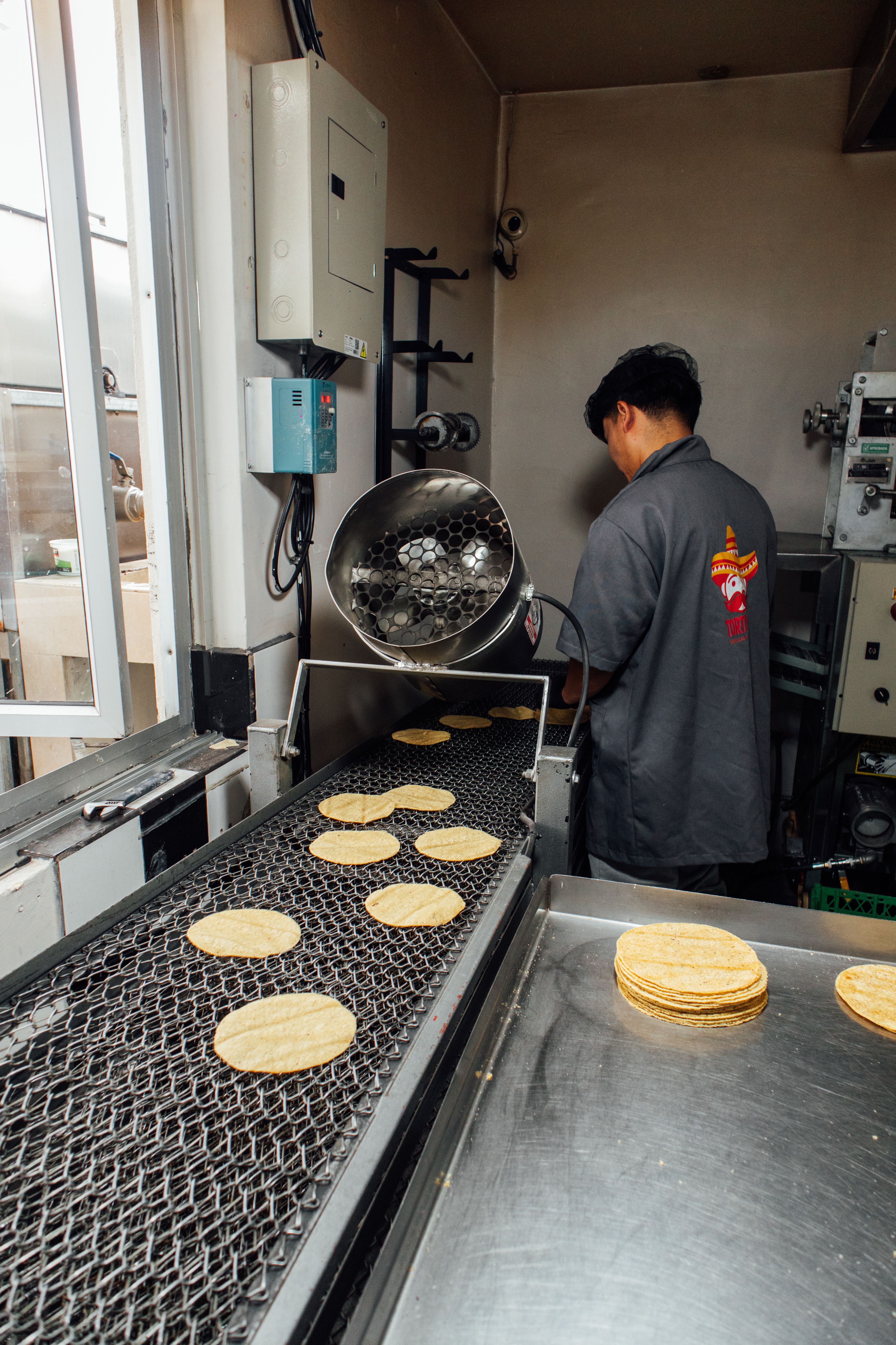 Industrial Tortilla Production Line in Factory · Free Stock Photo