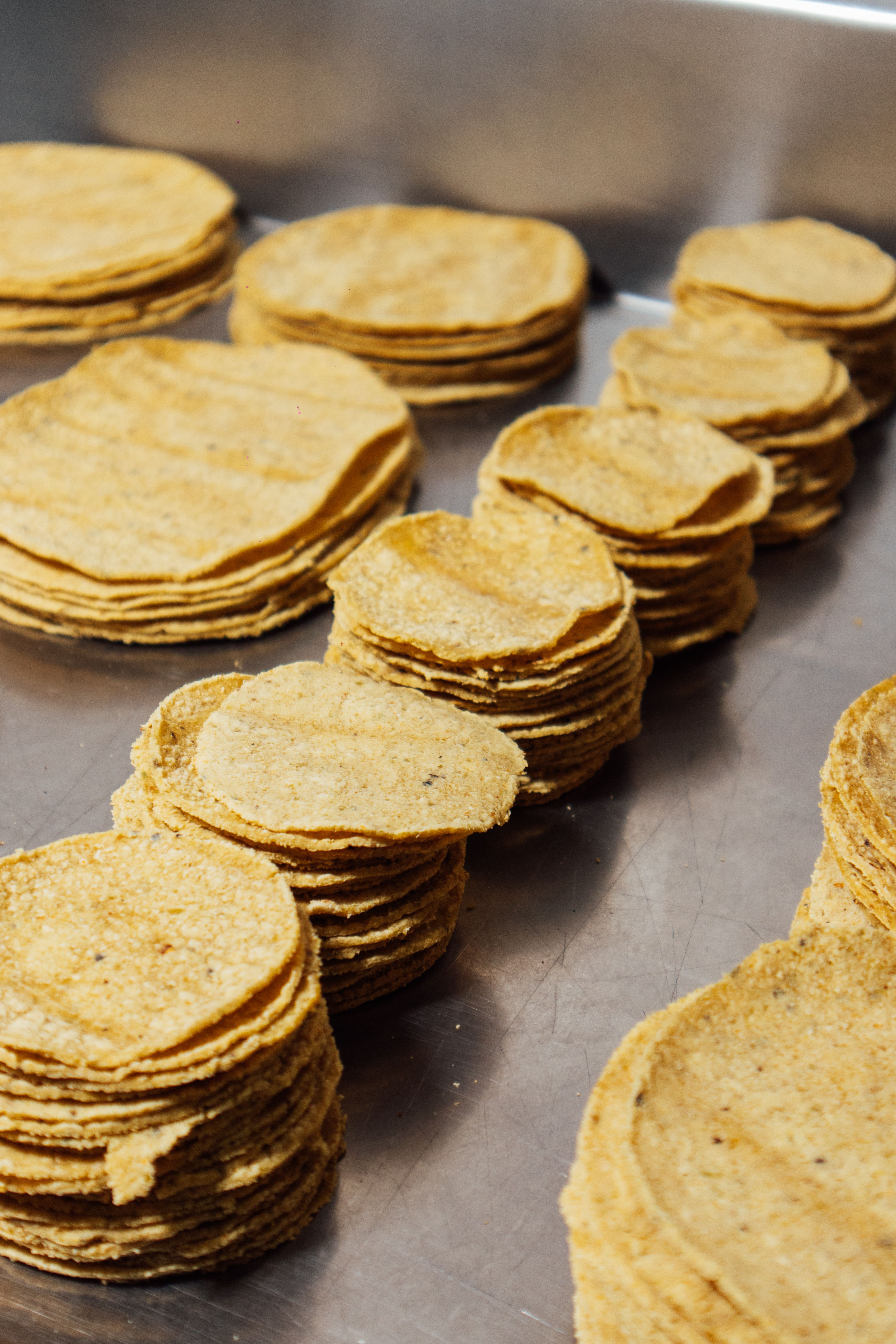 Stacks of Fresh Corn Tortillas on Metal Surface · Free Stock Photo