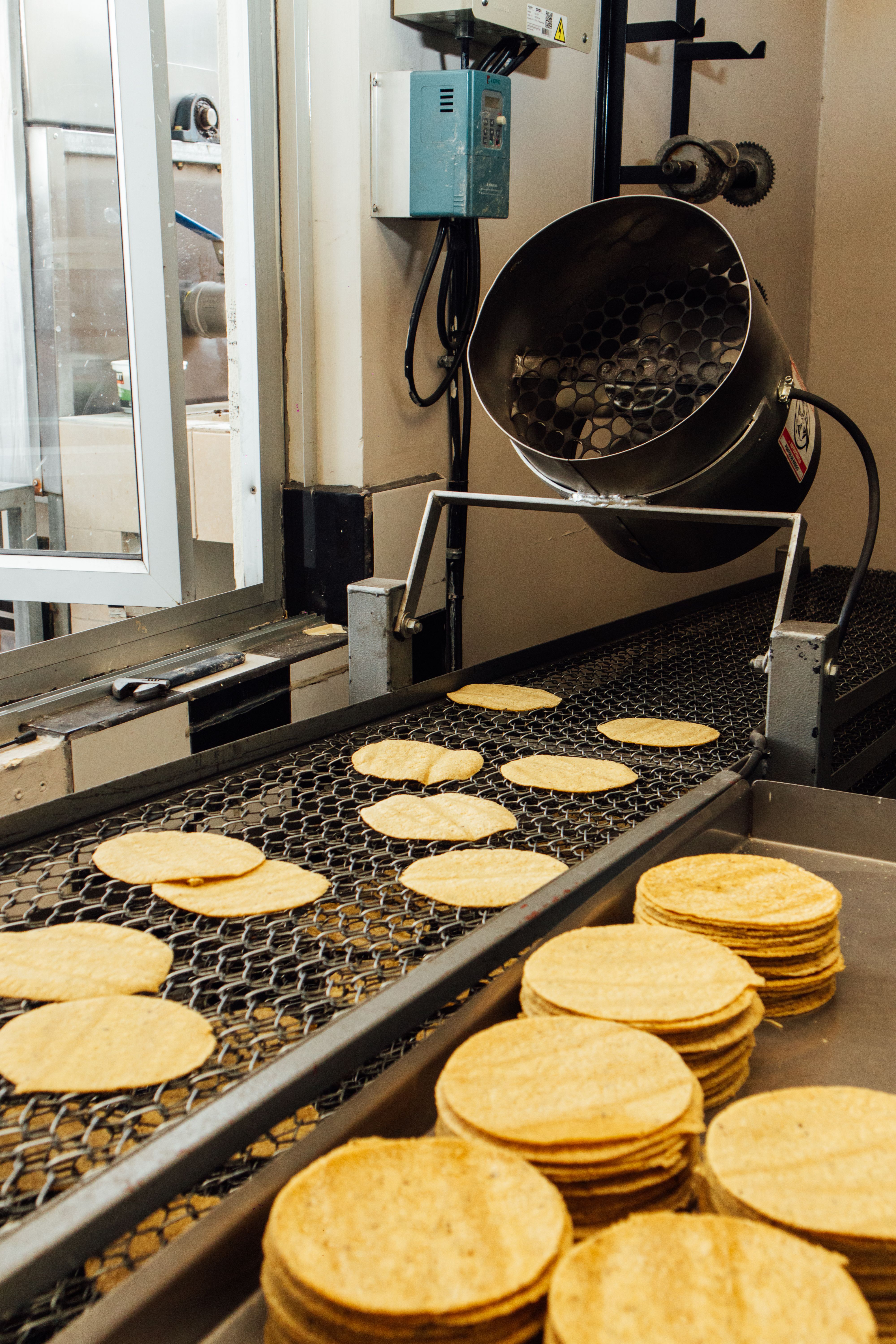 Industrial Tortilla Production Process · Free Stock Photo