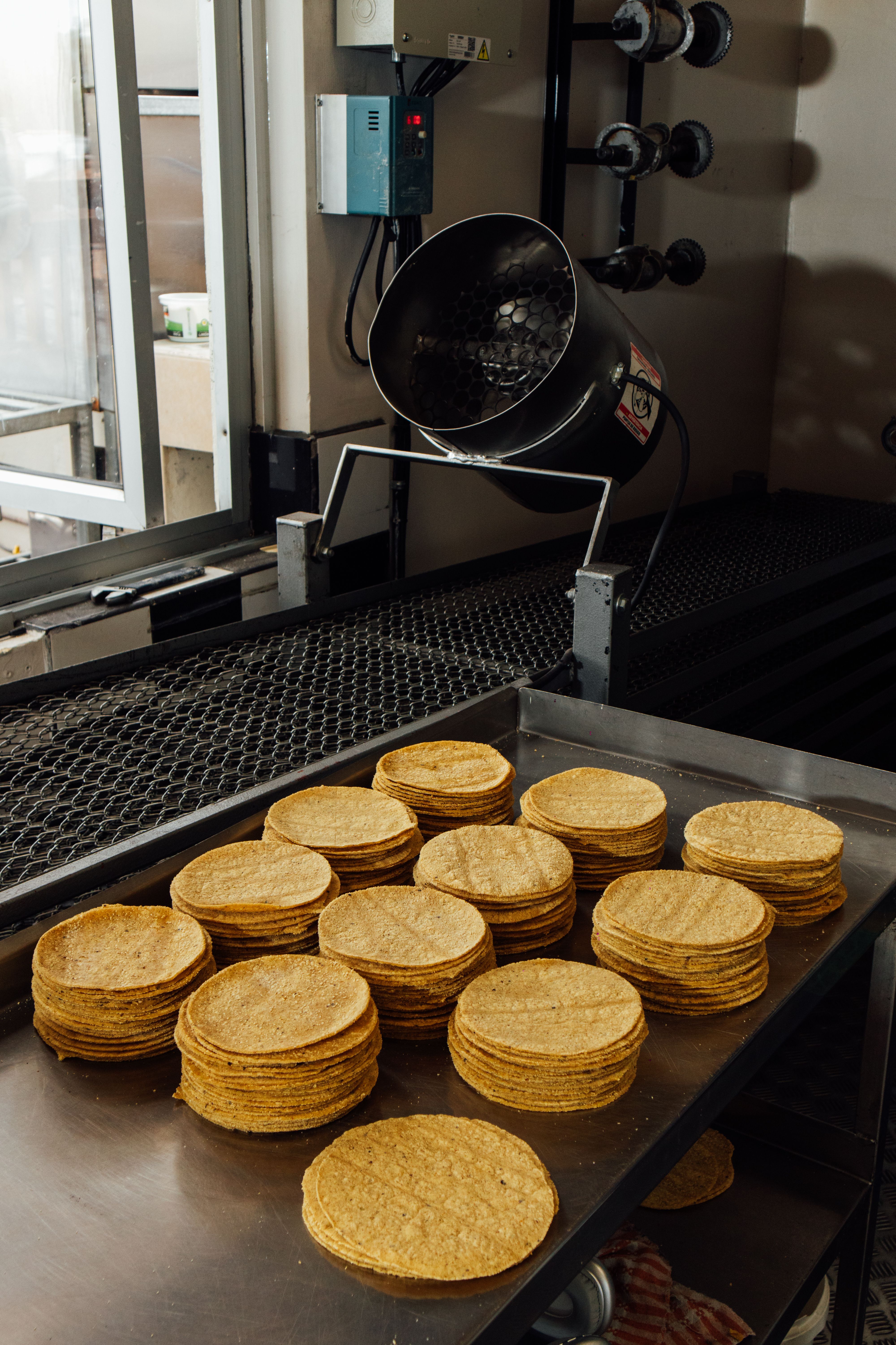 Stacks of Fresh Corn Tortillas in Factory Setting · Free Stock Photo