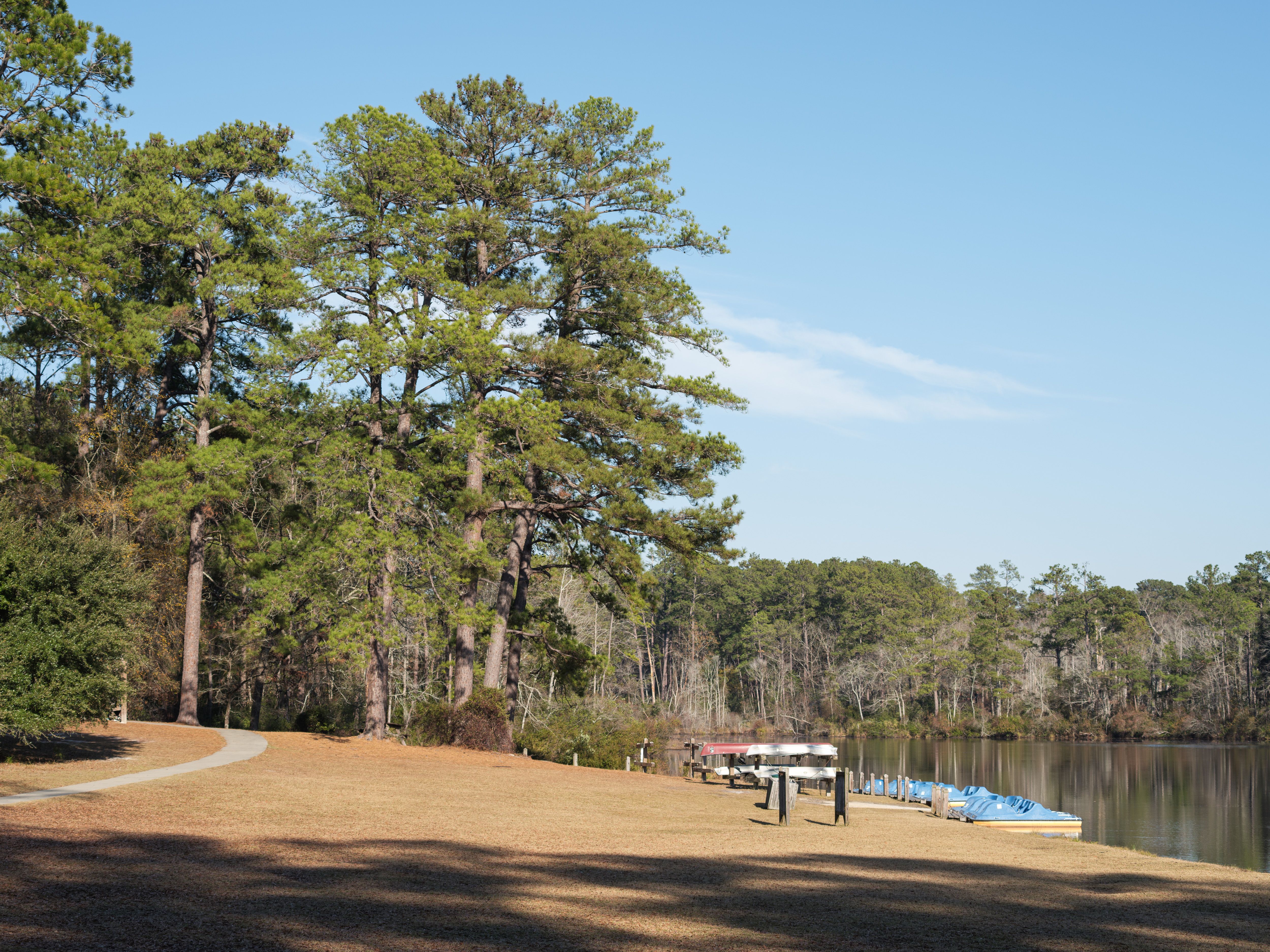 Serene Lakefront Scene in Columbia, South Carolina · Free Stock Photo