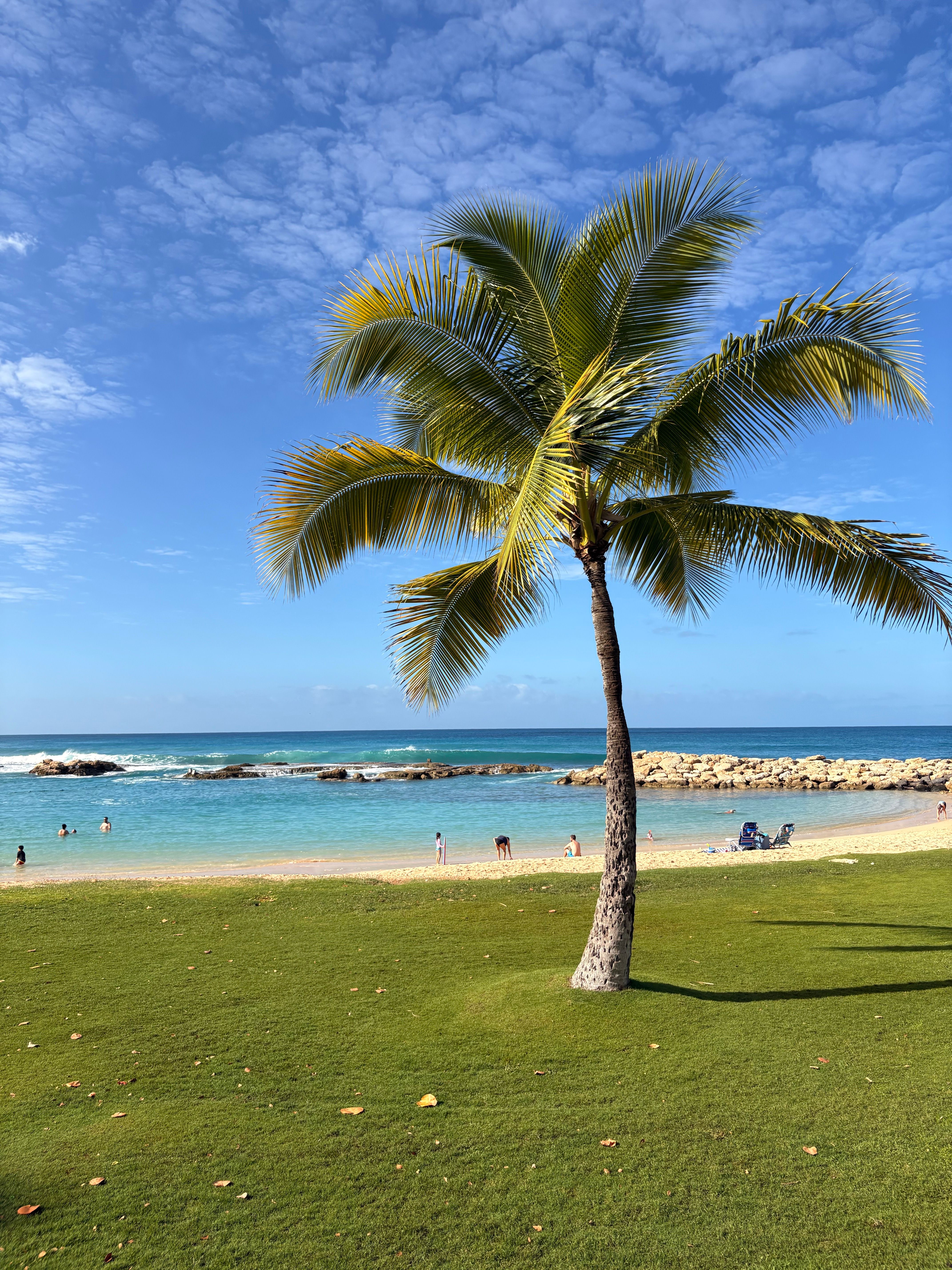Hawaii Beach Photos, Download The BEST Free Hawaii Beach Stock Photos ...