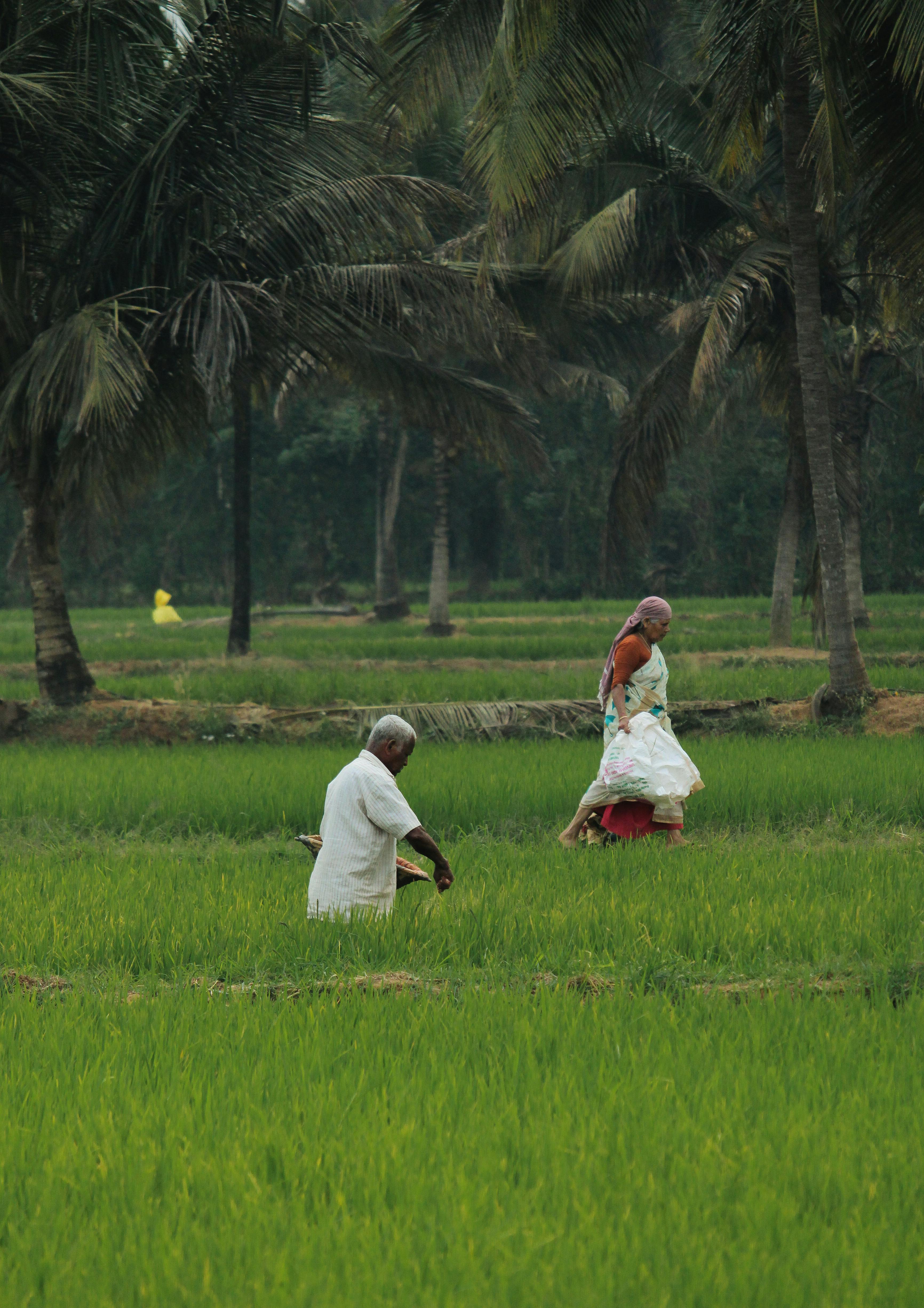 Cartoon+Windy+Weather Photos, Download The BEST Free Cartoon+Windy ...