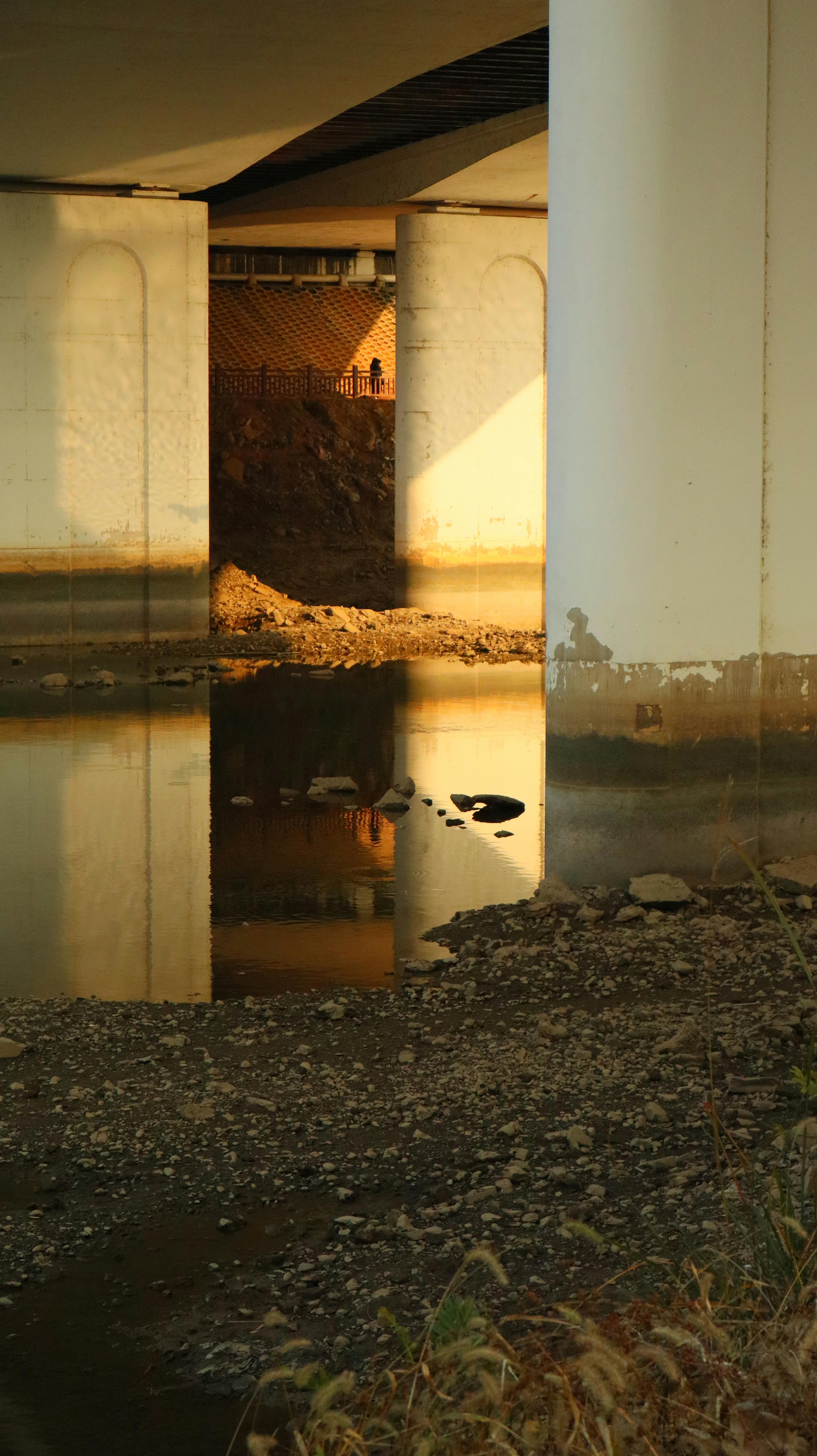 Urban Bridge Reflections at Golden Hour · Free Stock Photo
