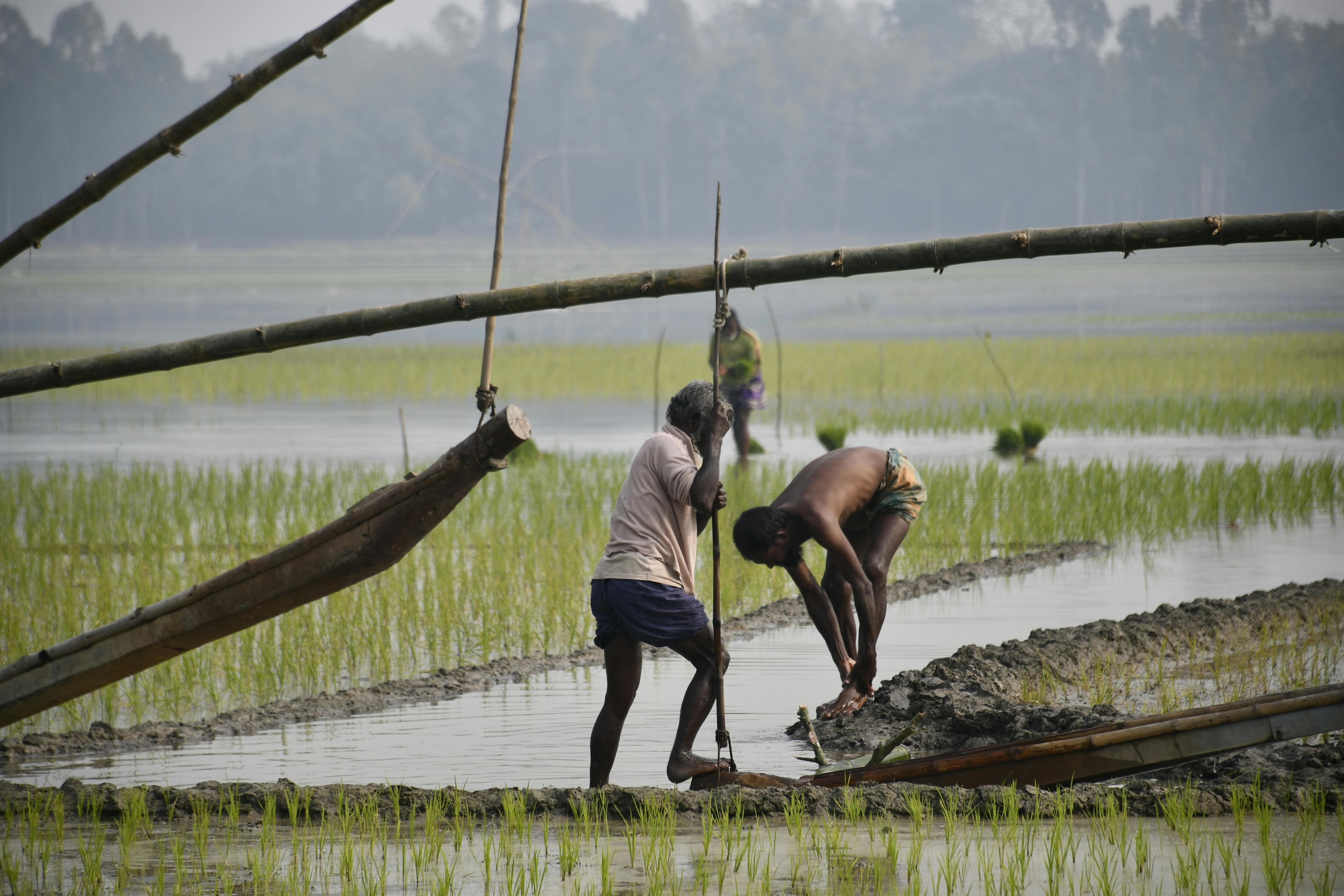 Declan+Rice+Nude Photos, Download The BEST Free Declan+Rice+Nude Stock ...