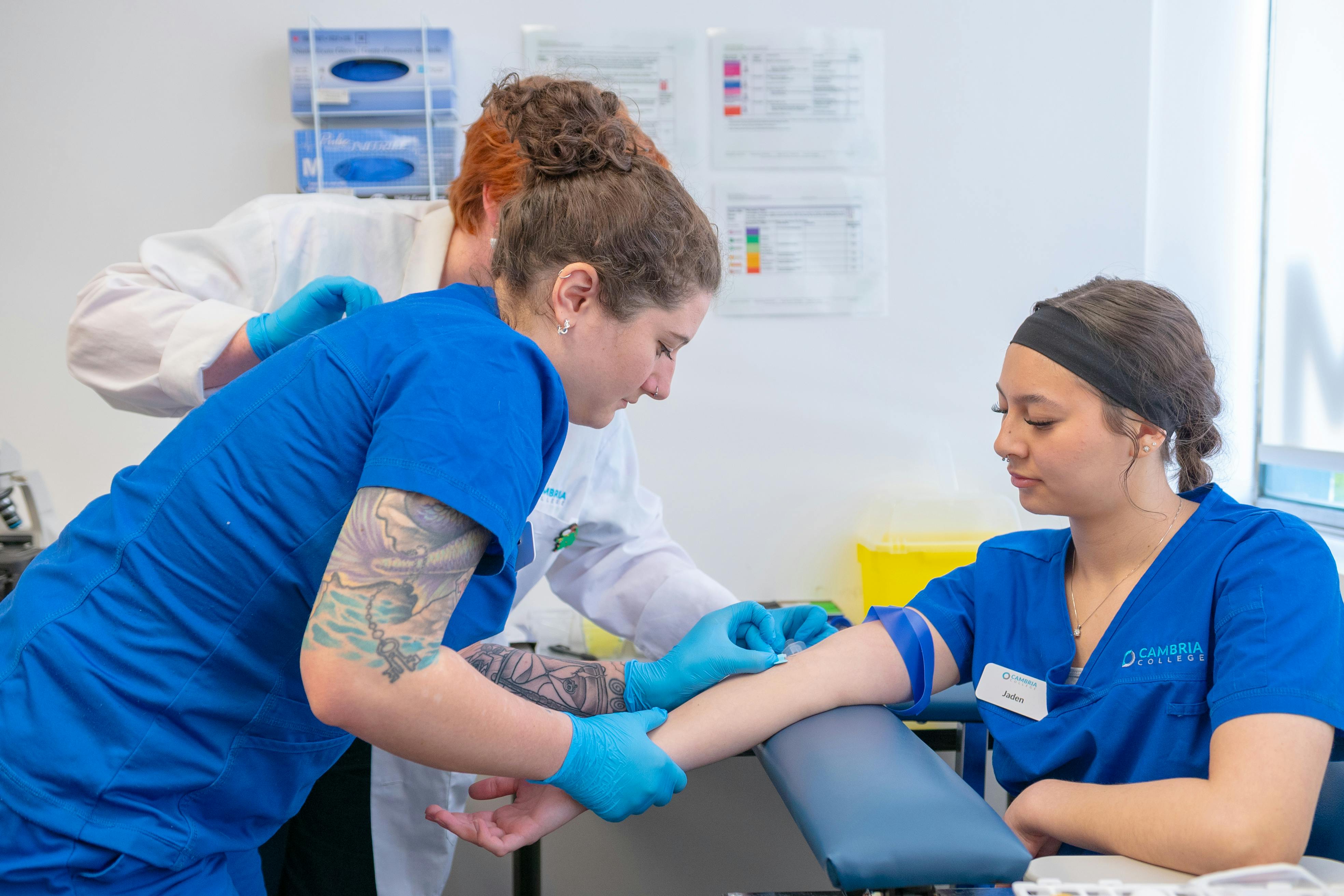 Healthcare Professionals Performing Blood Draw · Free Stock Photo