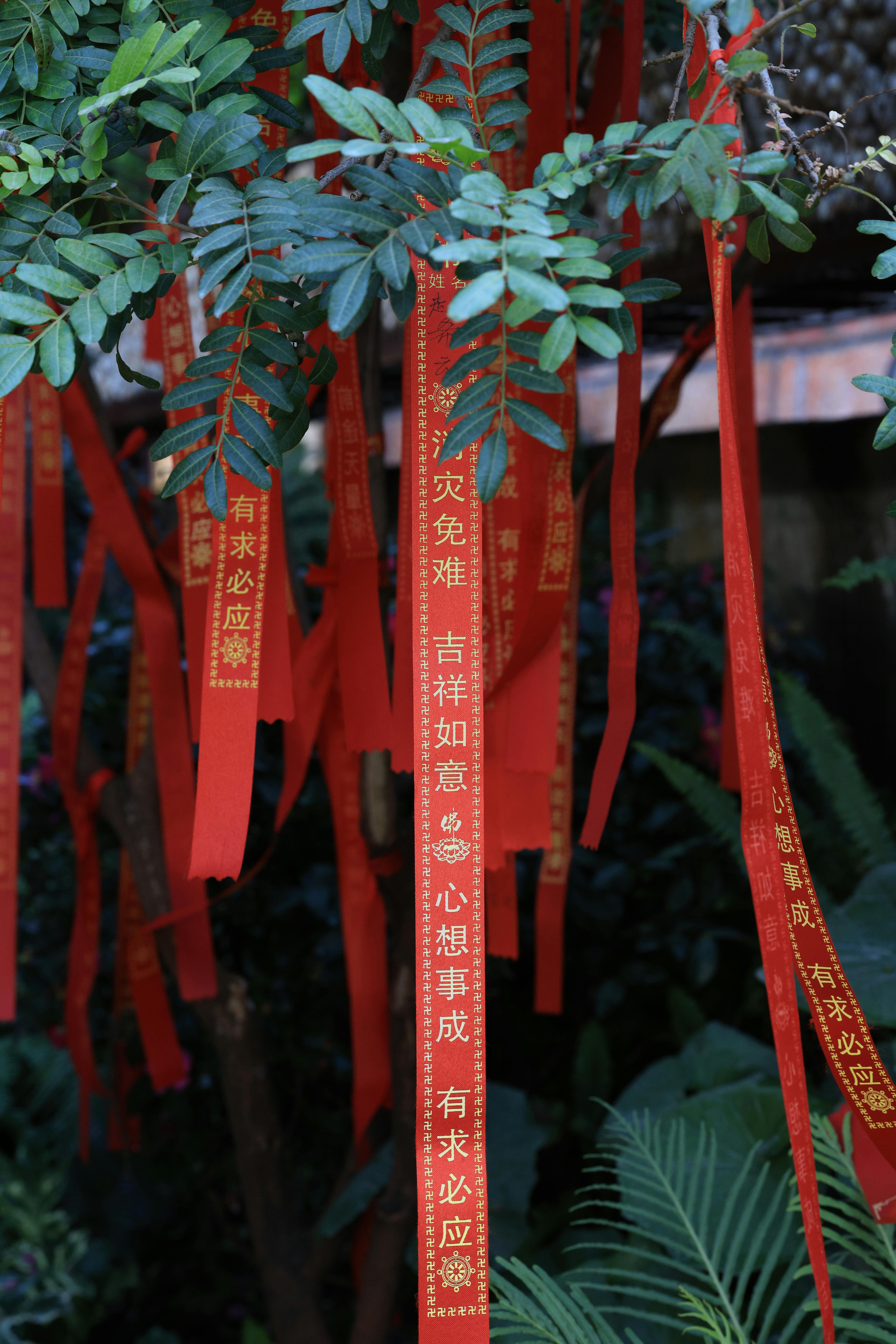 20 000+ Bokep+bocil+china. banque d’images et photos libres de droit · Téléchargement gratuit ...