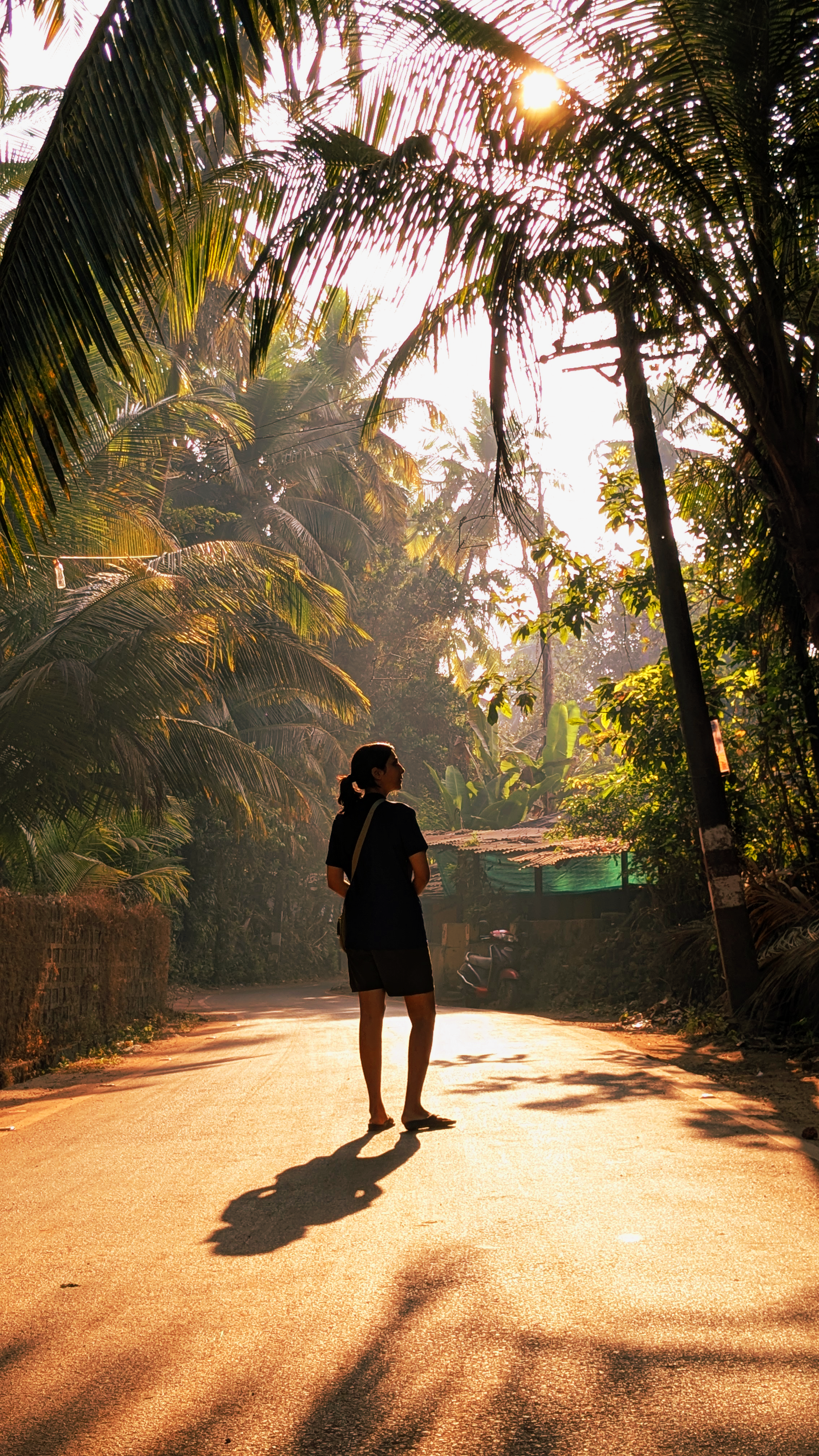 Woman Walking on Sunlit Palm-Lined Street in Goa · Free Stock Photo