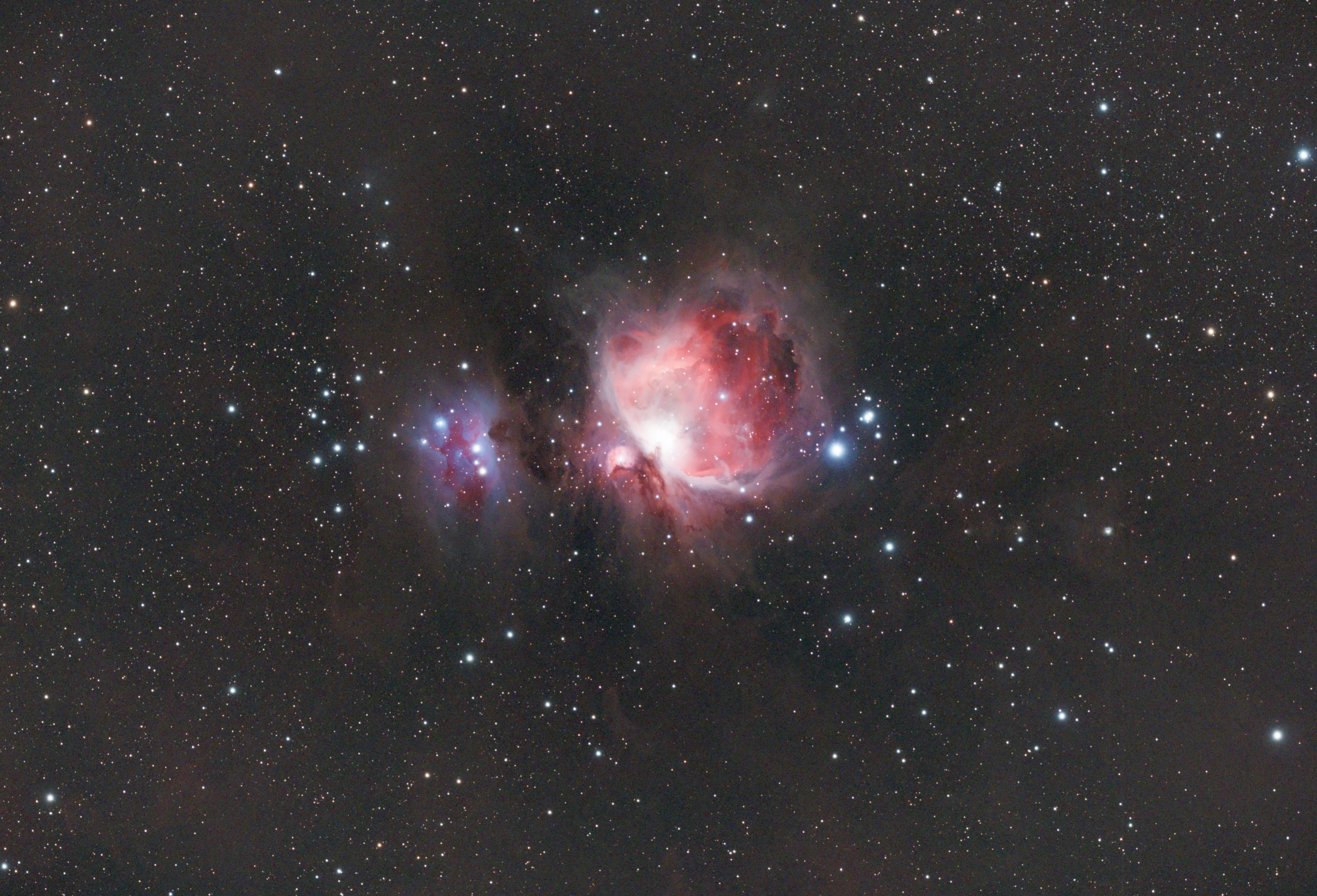 Stunning View of the Orion Nebula in Space · Free Stock Photo