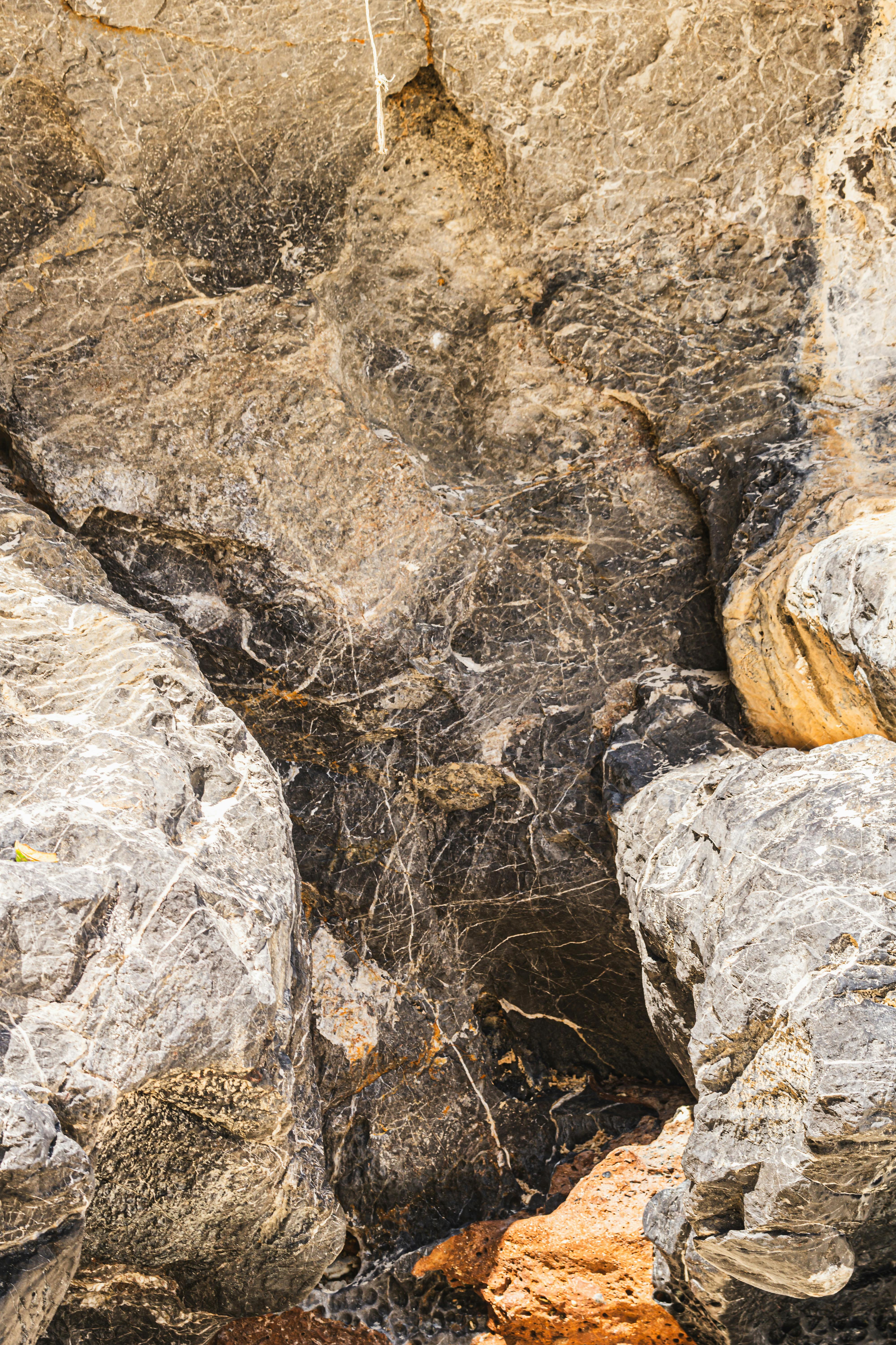 Anyma+Desktop+Background Photos, Download The BEST Free Anyma+Desktop ...