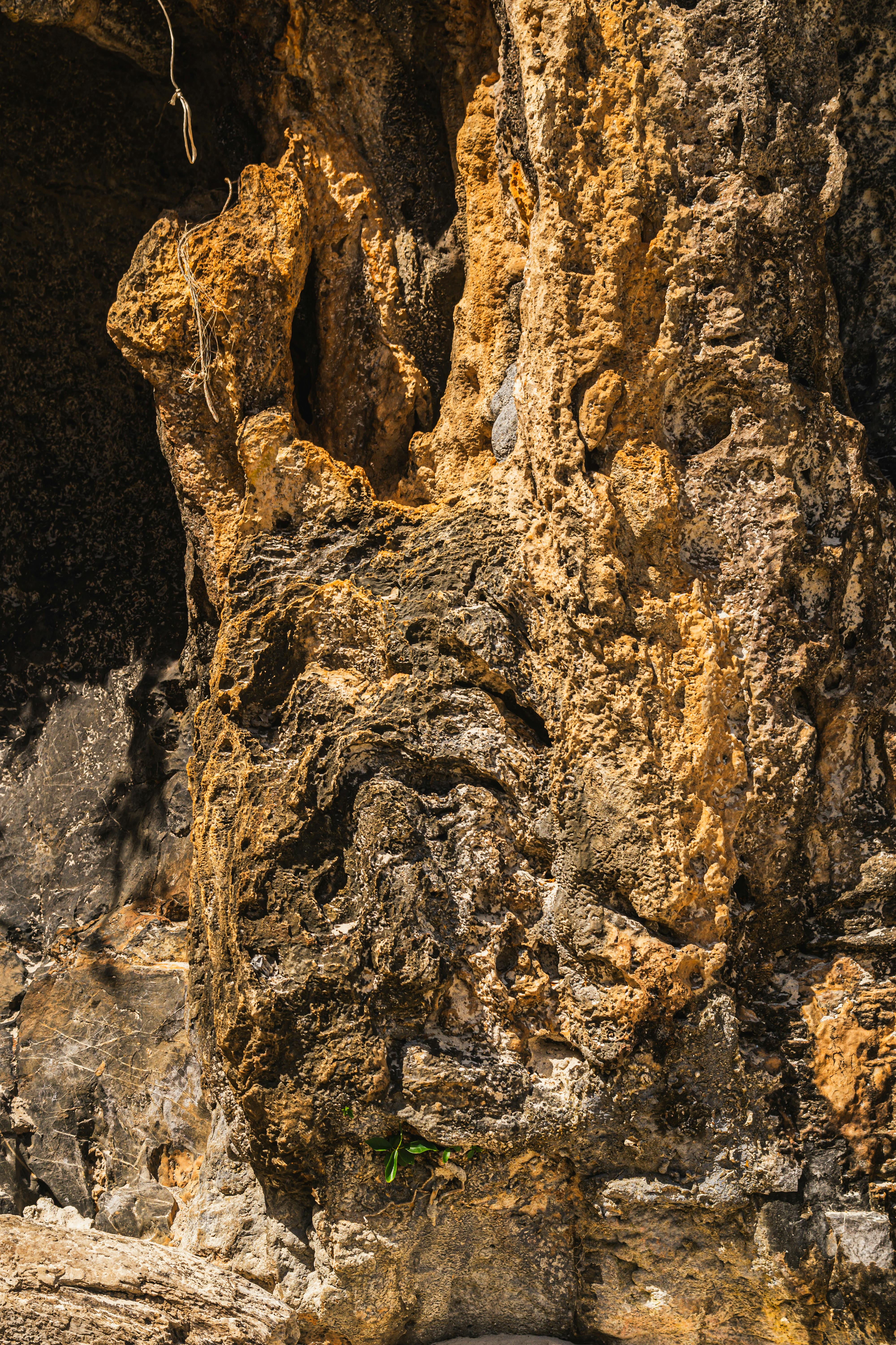 Close-up of Weathered Rock Formation Textures · Free Stock Photo