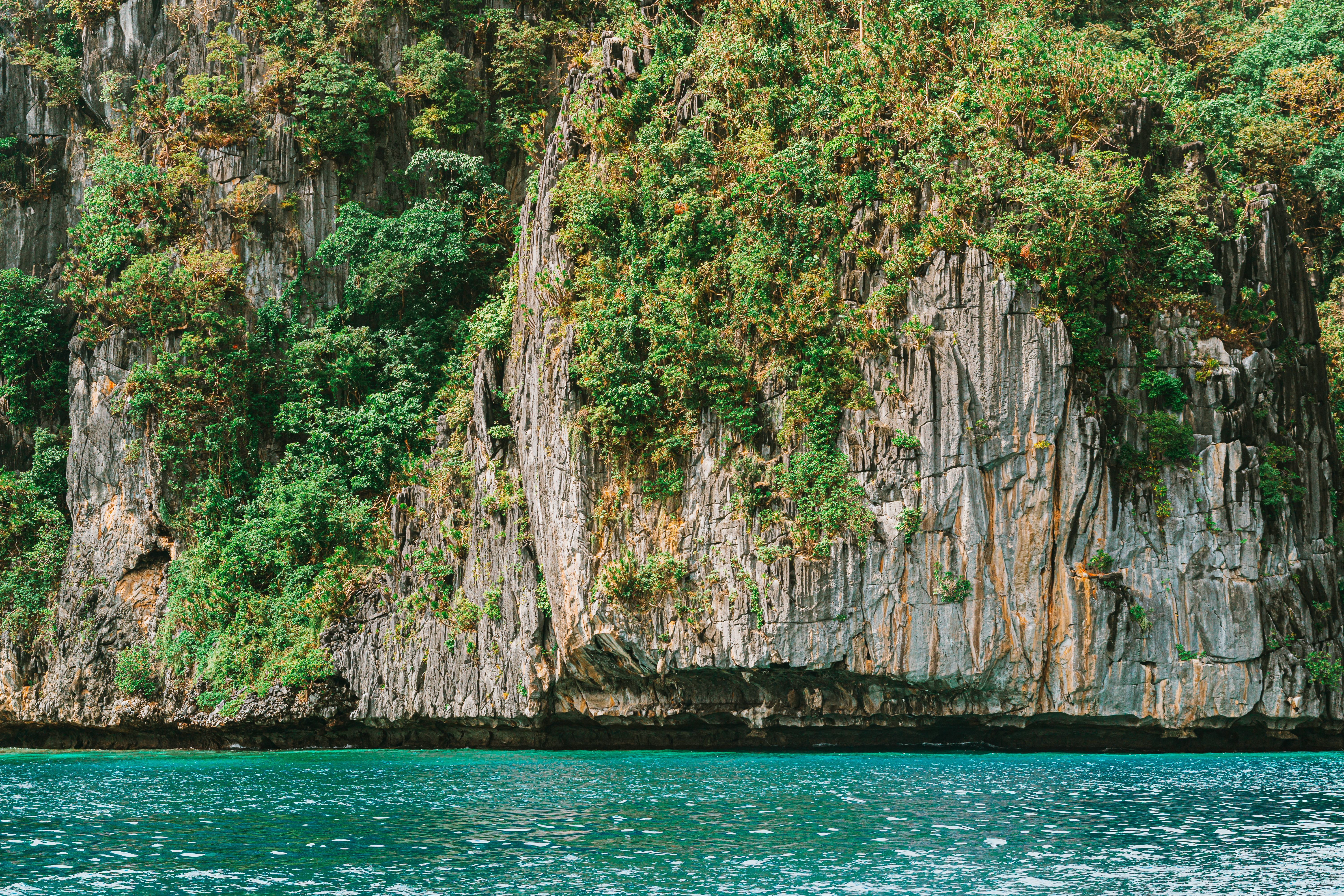 Scenic Limestone Cliffs with Lush Vegetation · Free Stock Photo