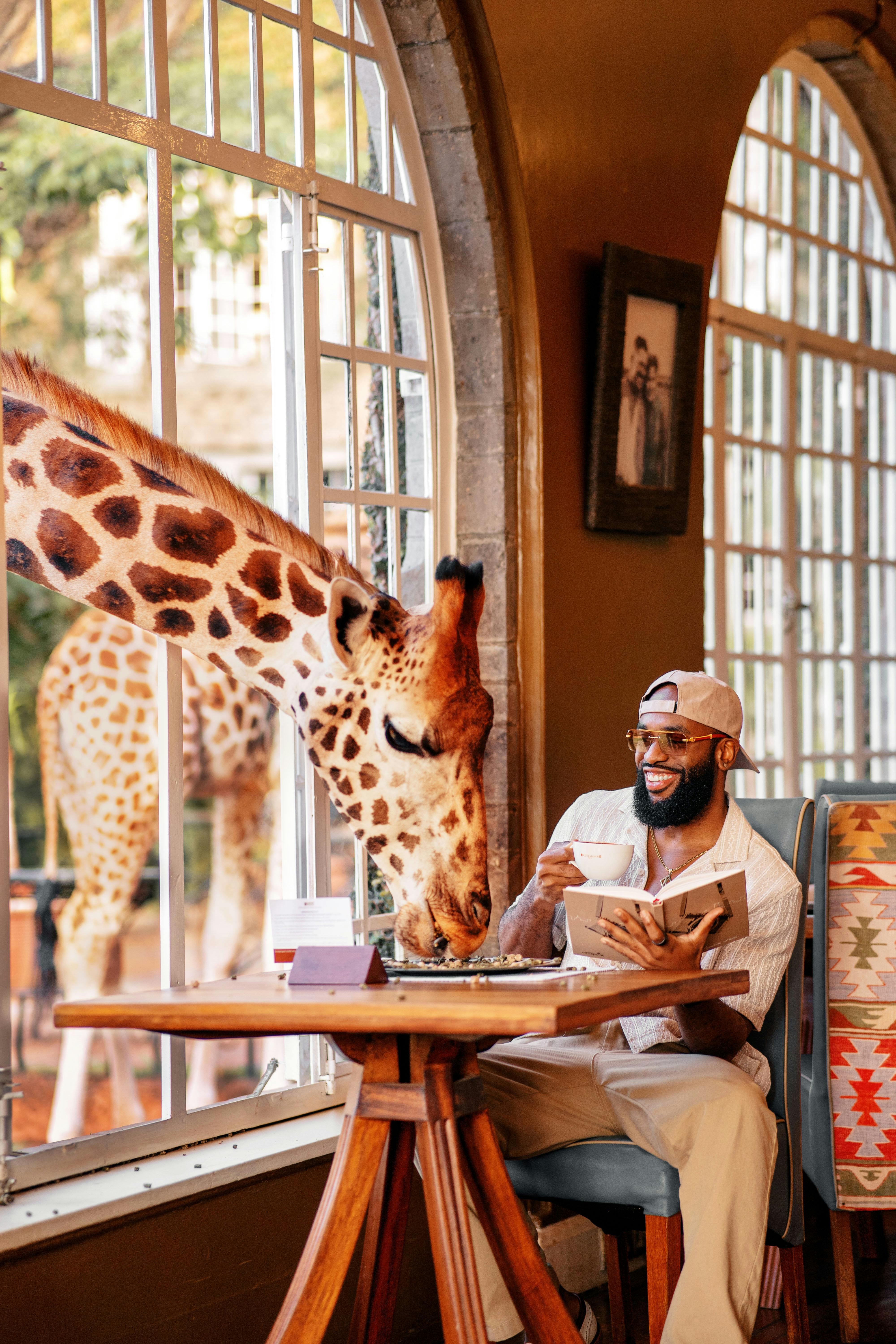 Relaxing Breakfast with Giraffe in Nairobi · Free Stock Photo