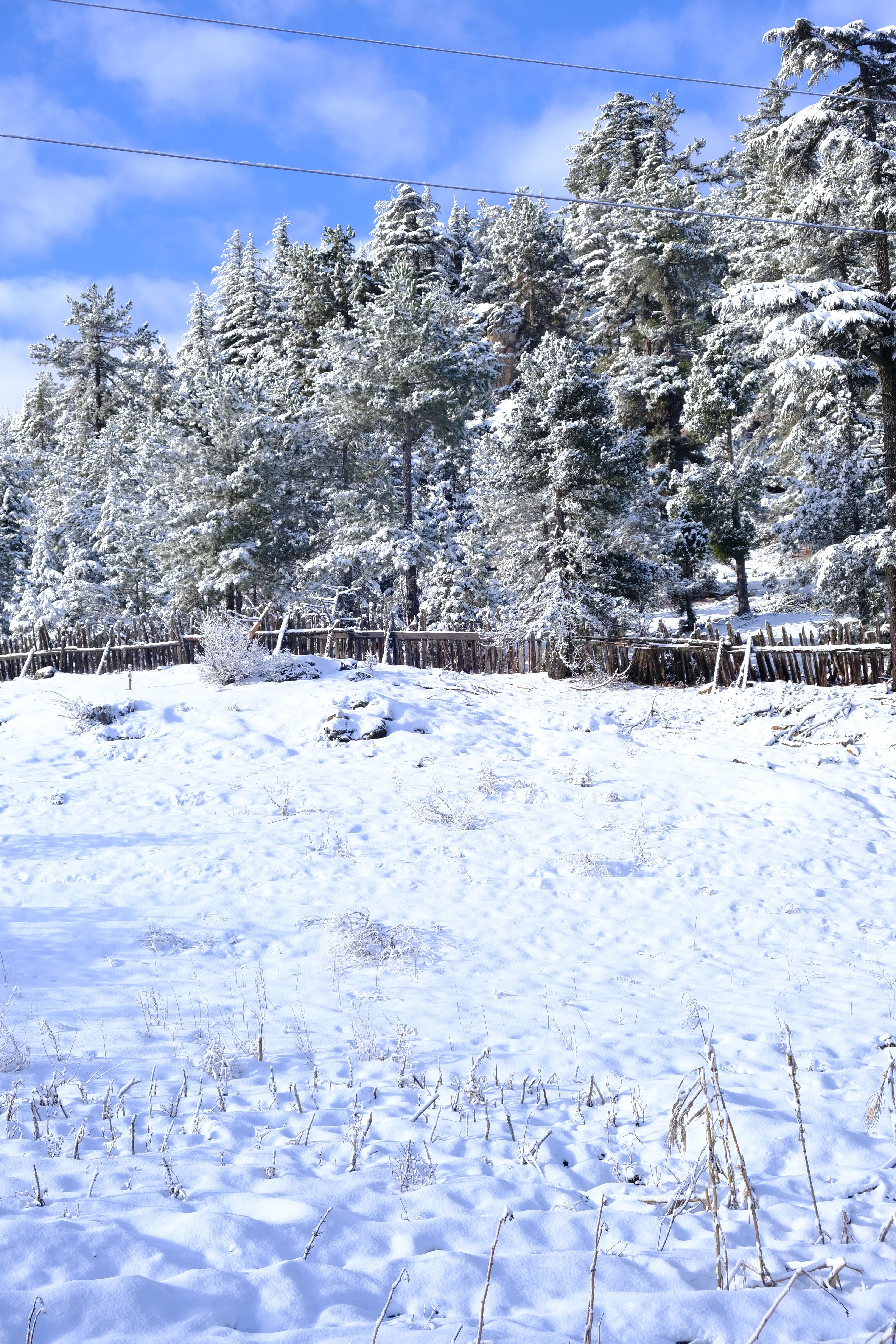 256 X 256 Photos, Download The BEST Free 256 X 256 Stock Photos & HD Images