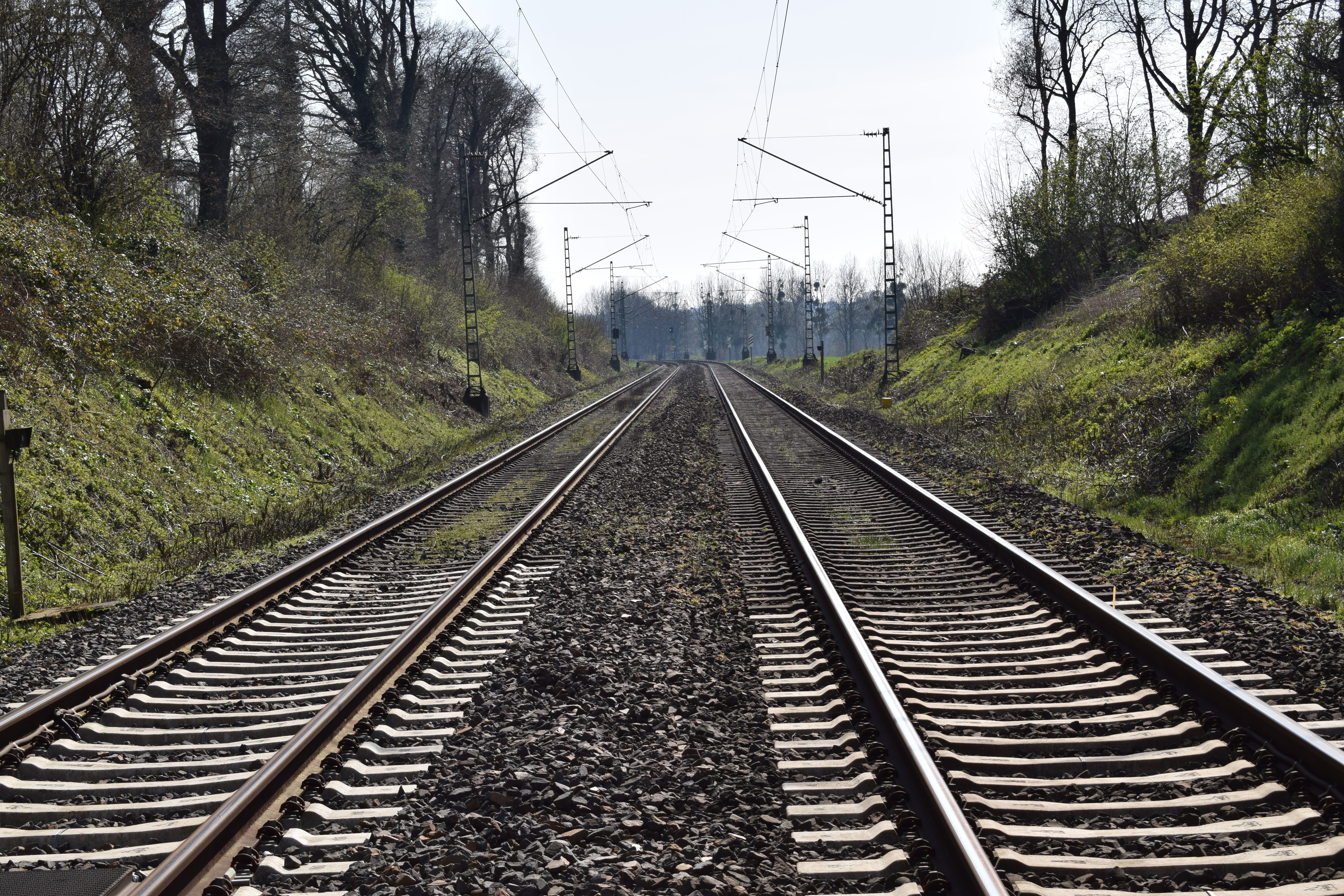 Railway Tracks in a Serene Natural Setting · Free Stock Photo