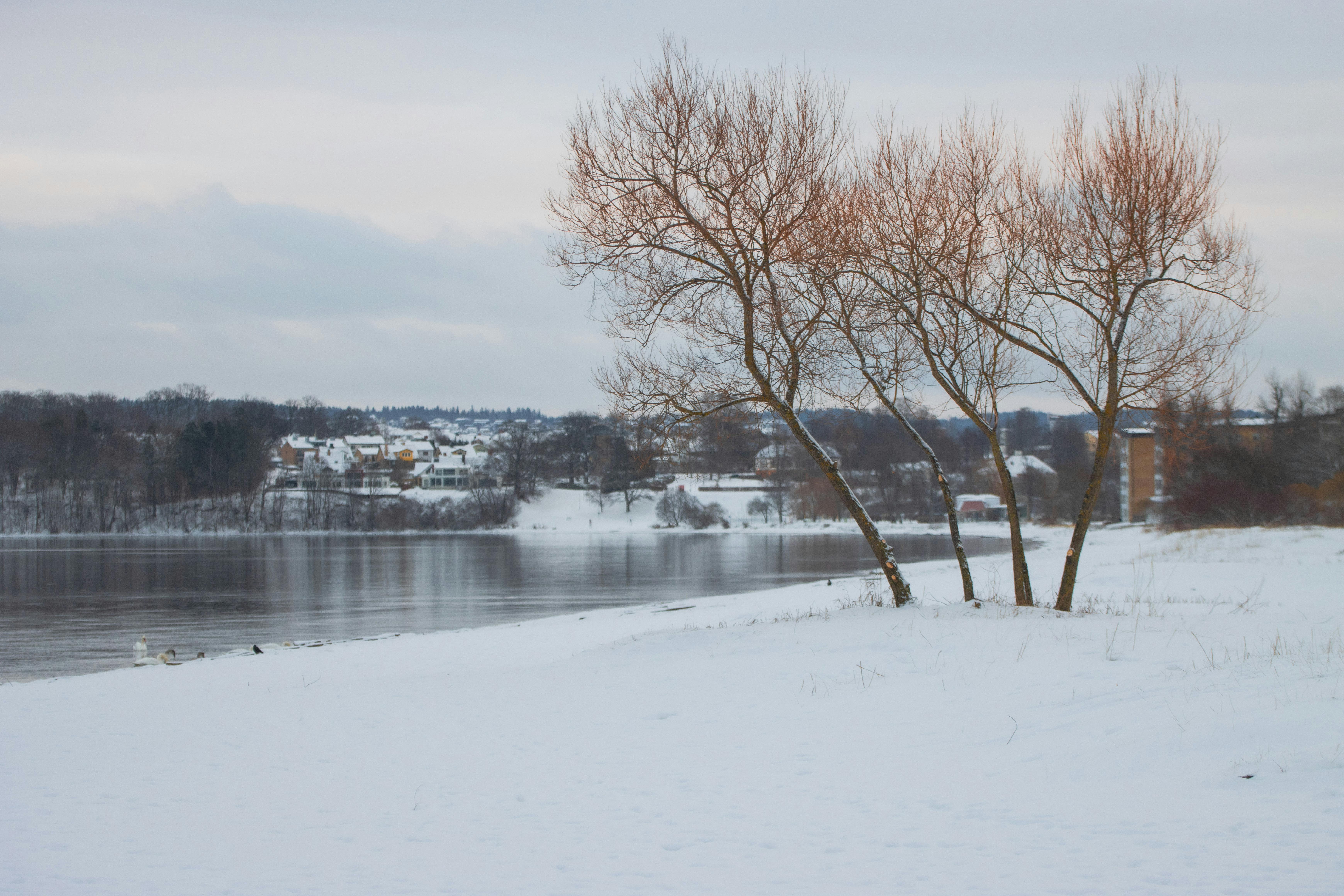 62.904+ Fotos y Imágenes de Mclaren-f1-2026-wallpaper Gratis · Banco de ...