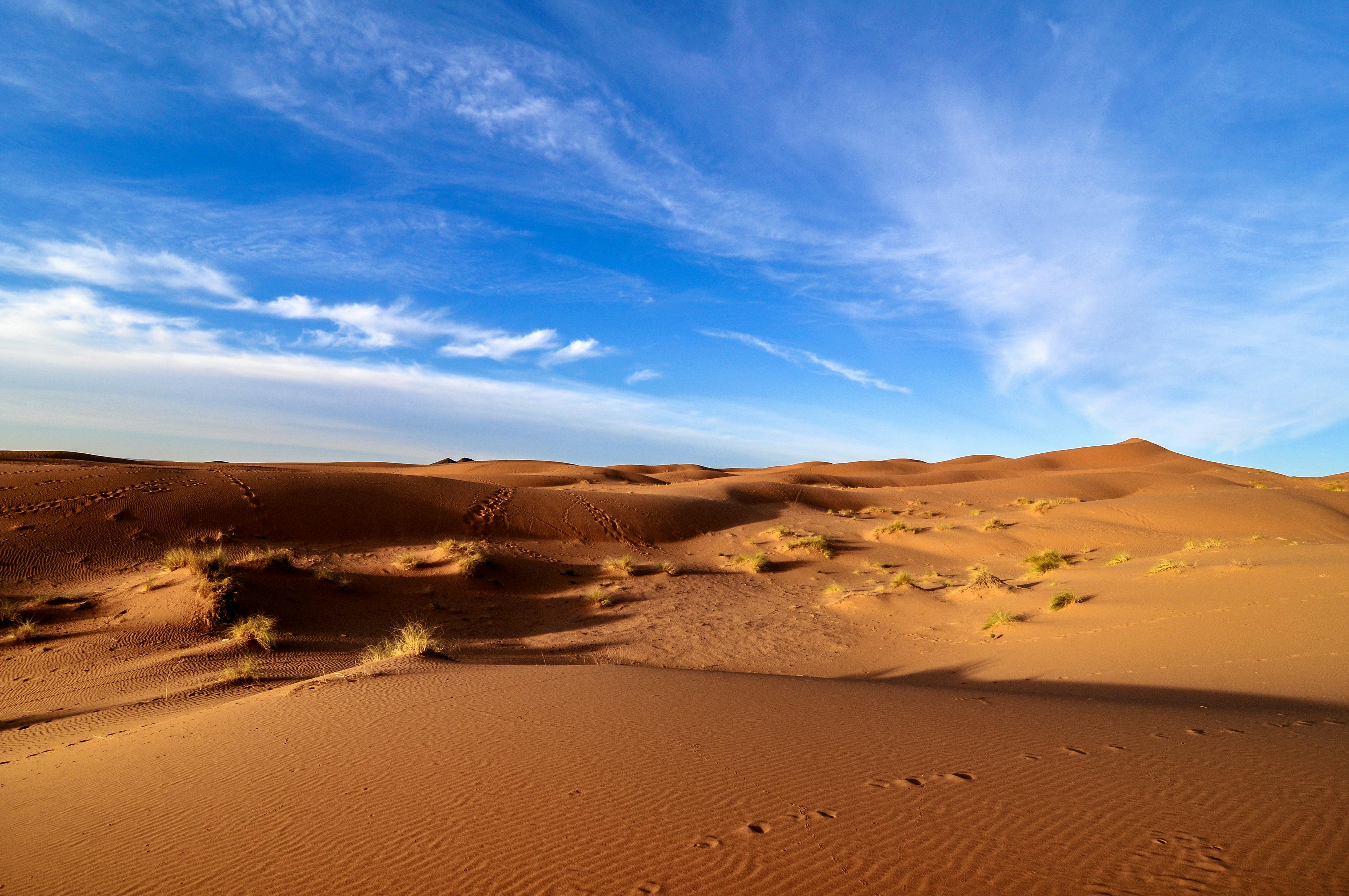 Stunning Dunes of Merzouga Desert at Daytime · Free Stock Photo