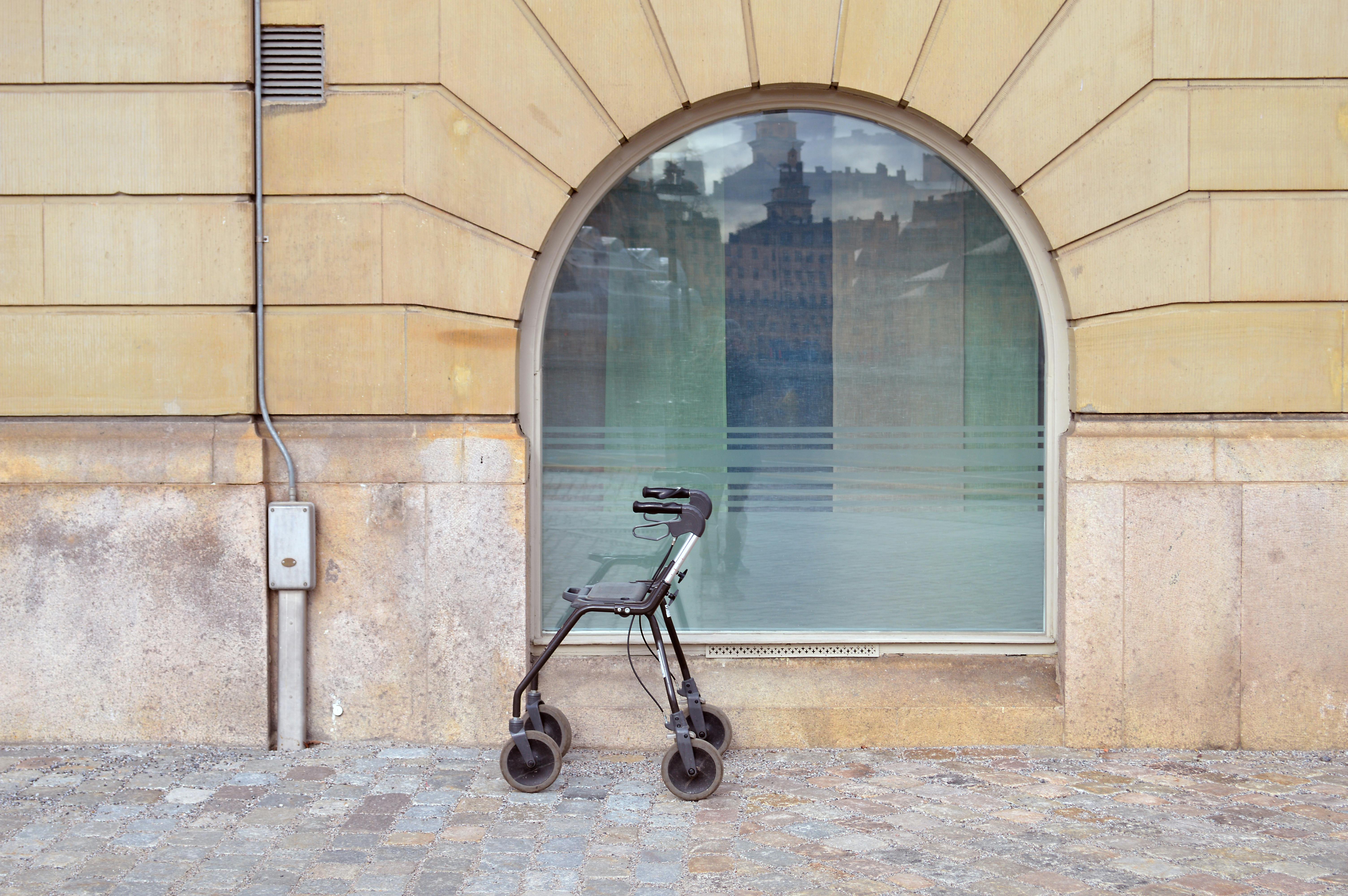 Free stock photo of city, walker