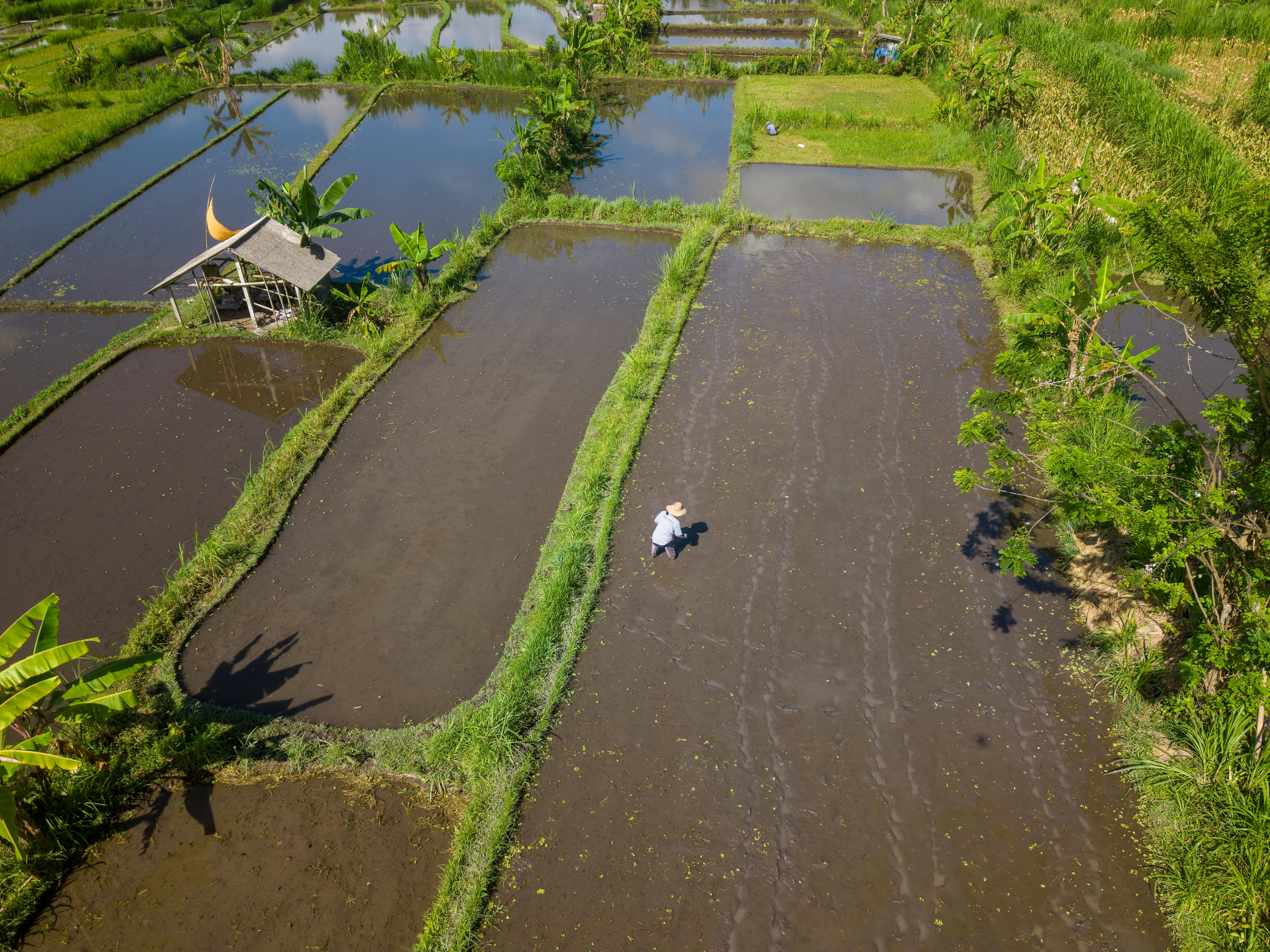 Declan+Rice+Nude Photos, Download The BEST Free Declan+Rice+Nude Stock ...