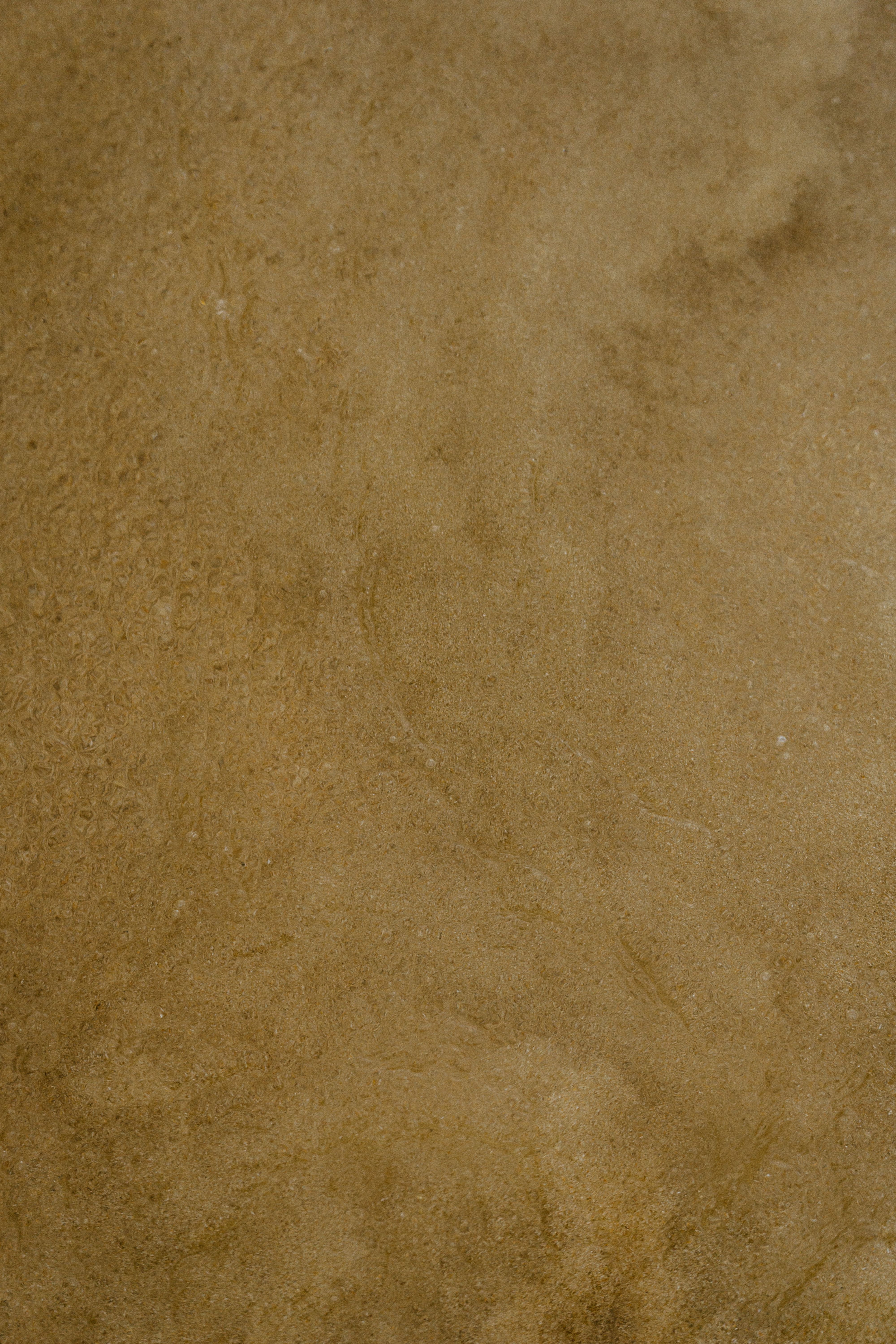 Sadi Background Photos, Download The BEST Free Sadi Background Stock ...