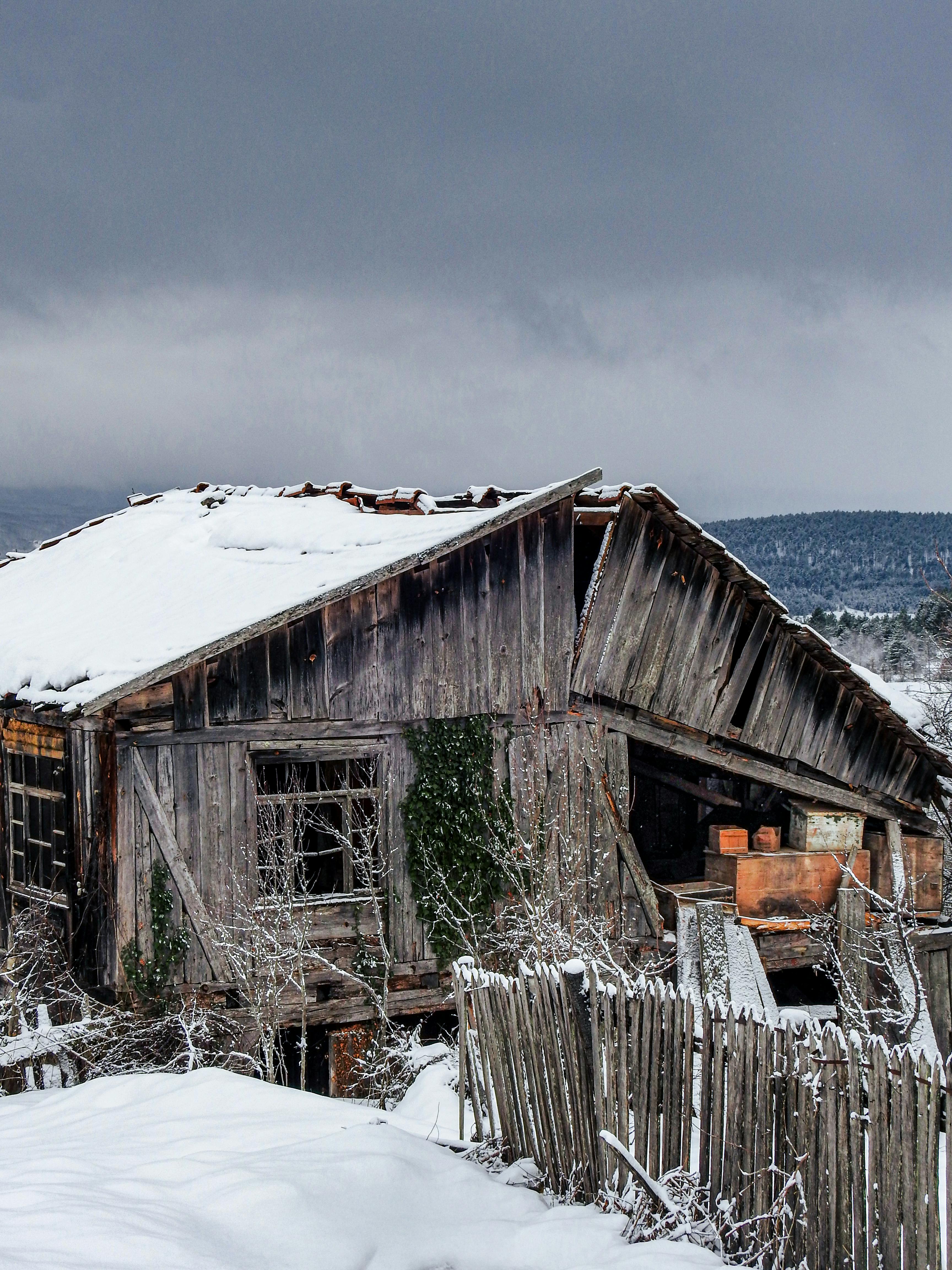Cabaña Rústica Nevada En Mengen, Turquía · Foto de stock gratuita