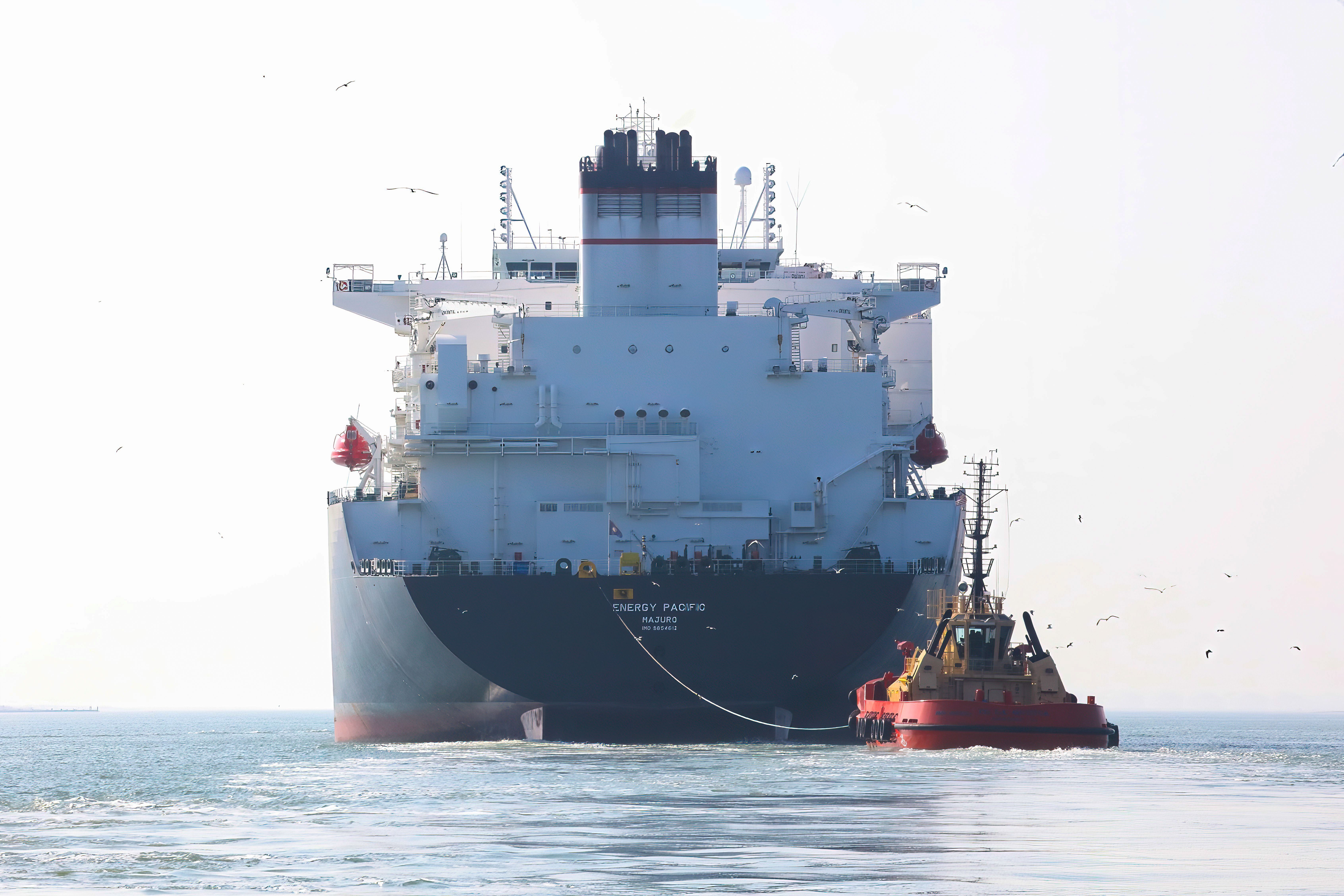 Tanker and Tugboat on Texas Coastline · Free Stock Photo