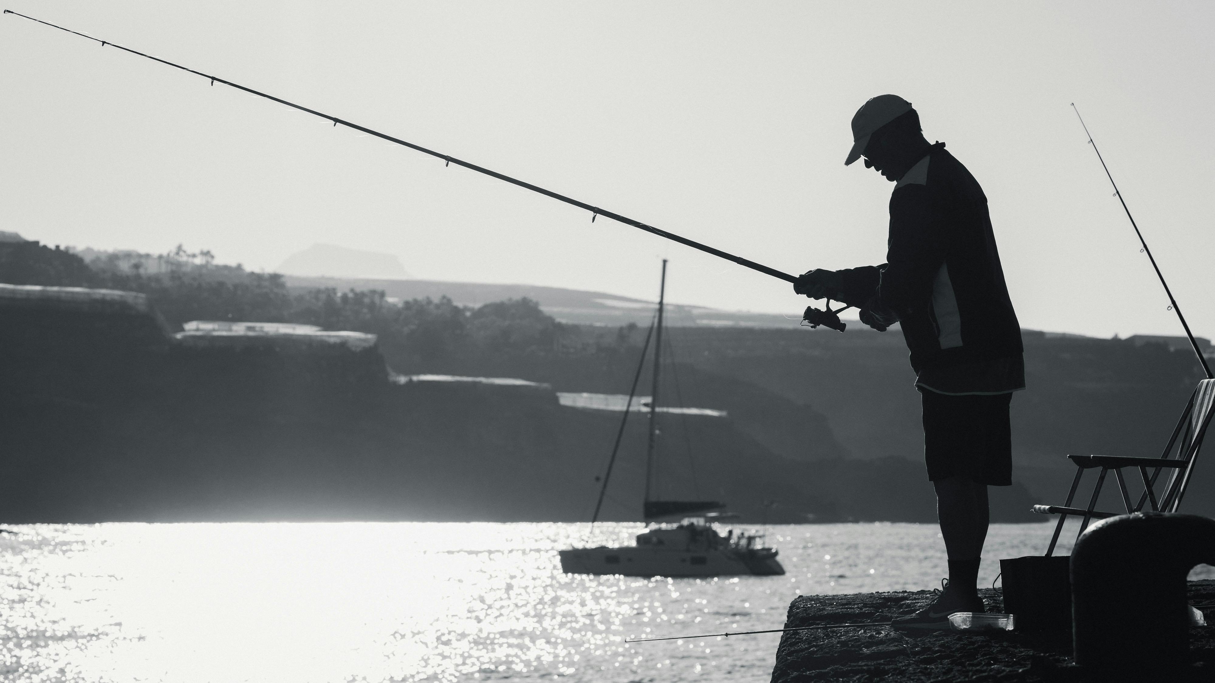 57.524+ Fotos y Imágenes de Barb+and+bob Gratis · Banco de Fotos Gratis