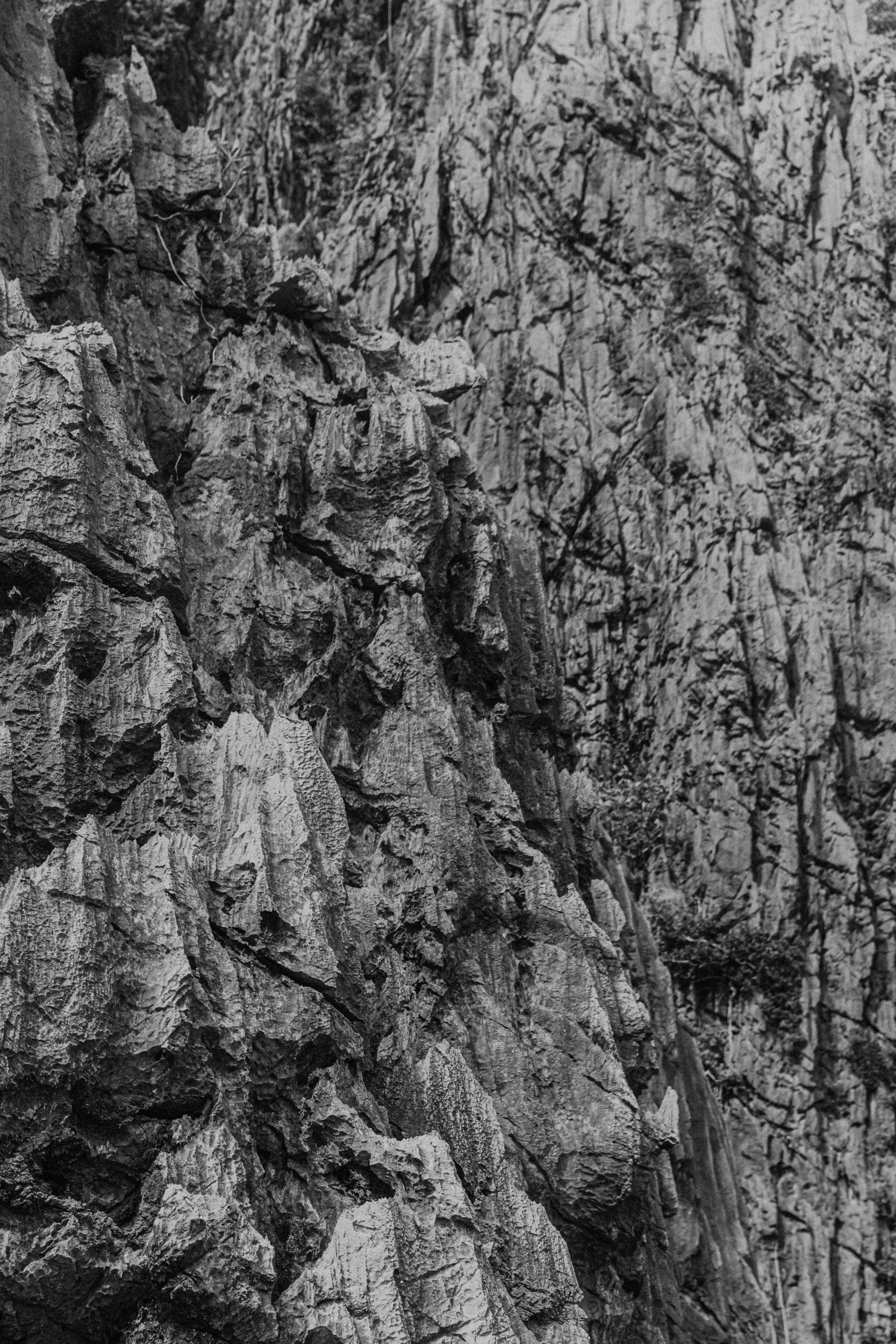 Textured Cliff Face in Black and White Landscape · Free Stock Photo