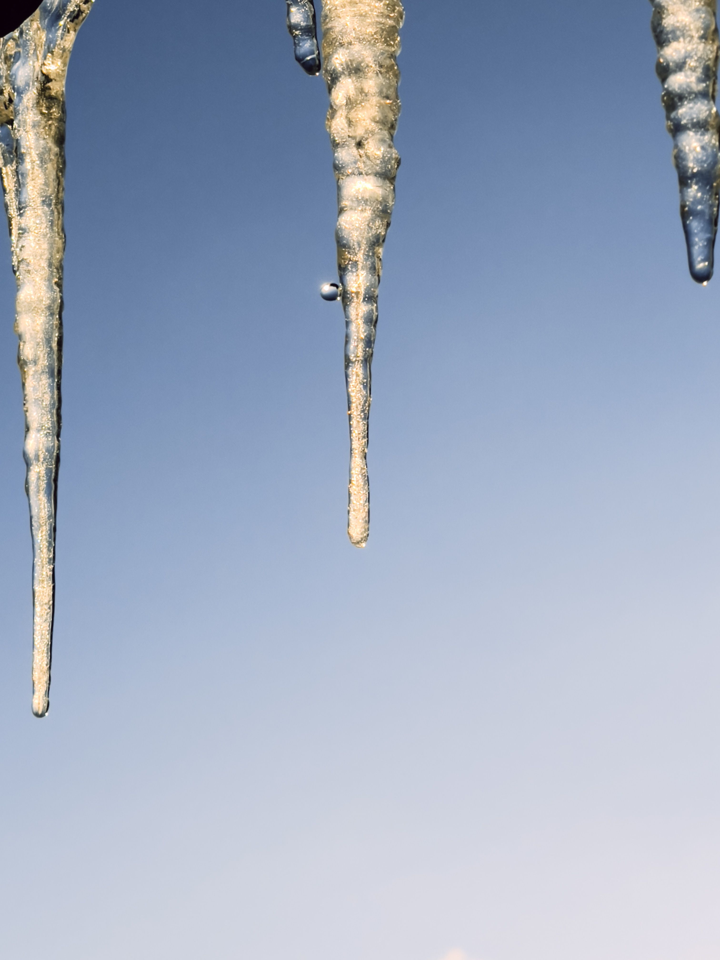 Icicles Dripping in Winter Sunlight · Free Stock Photo