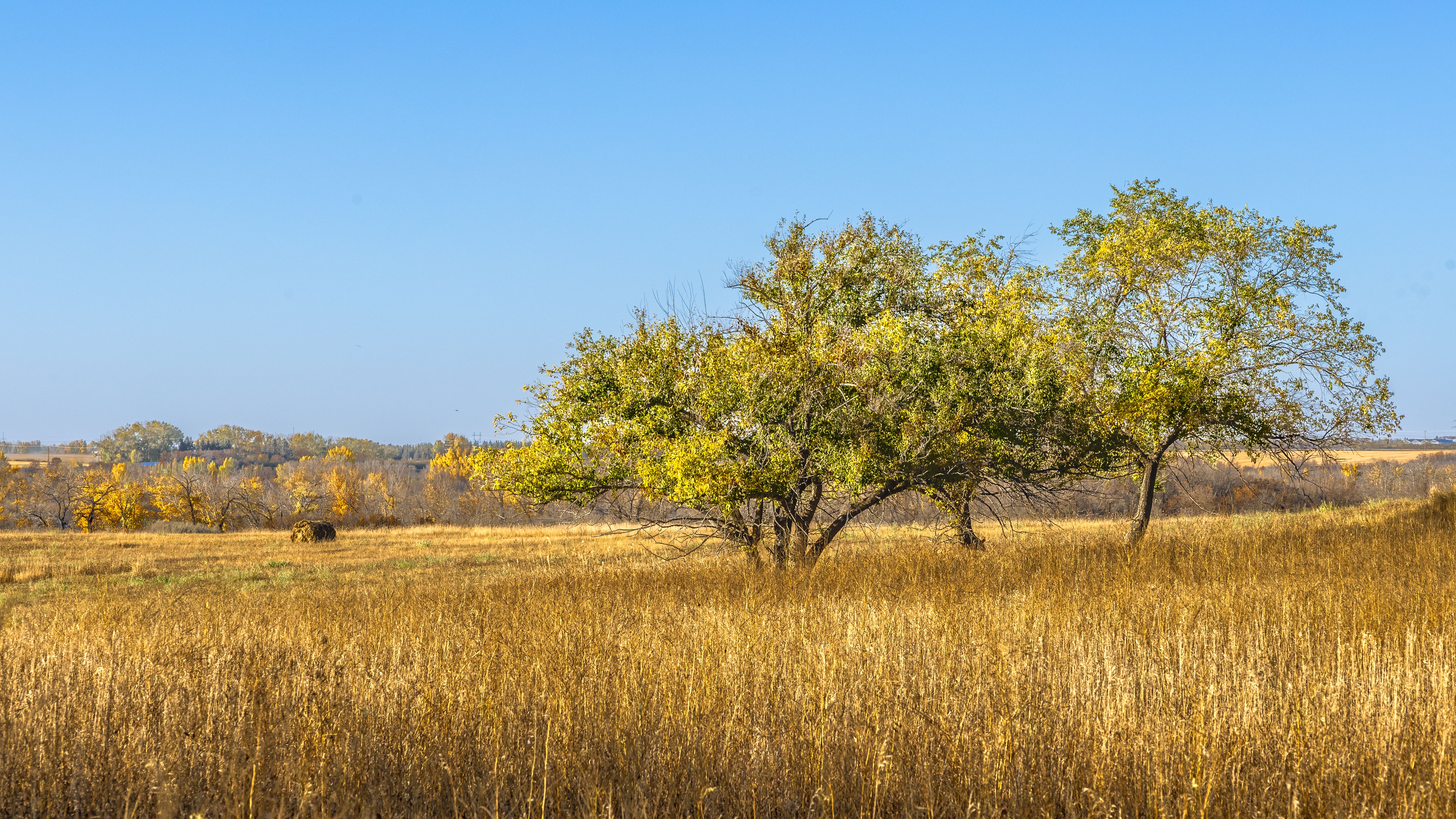 Clean Air Photos, Download The BEST Free Clean Air Stock Photos & HD Images
