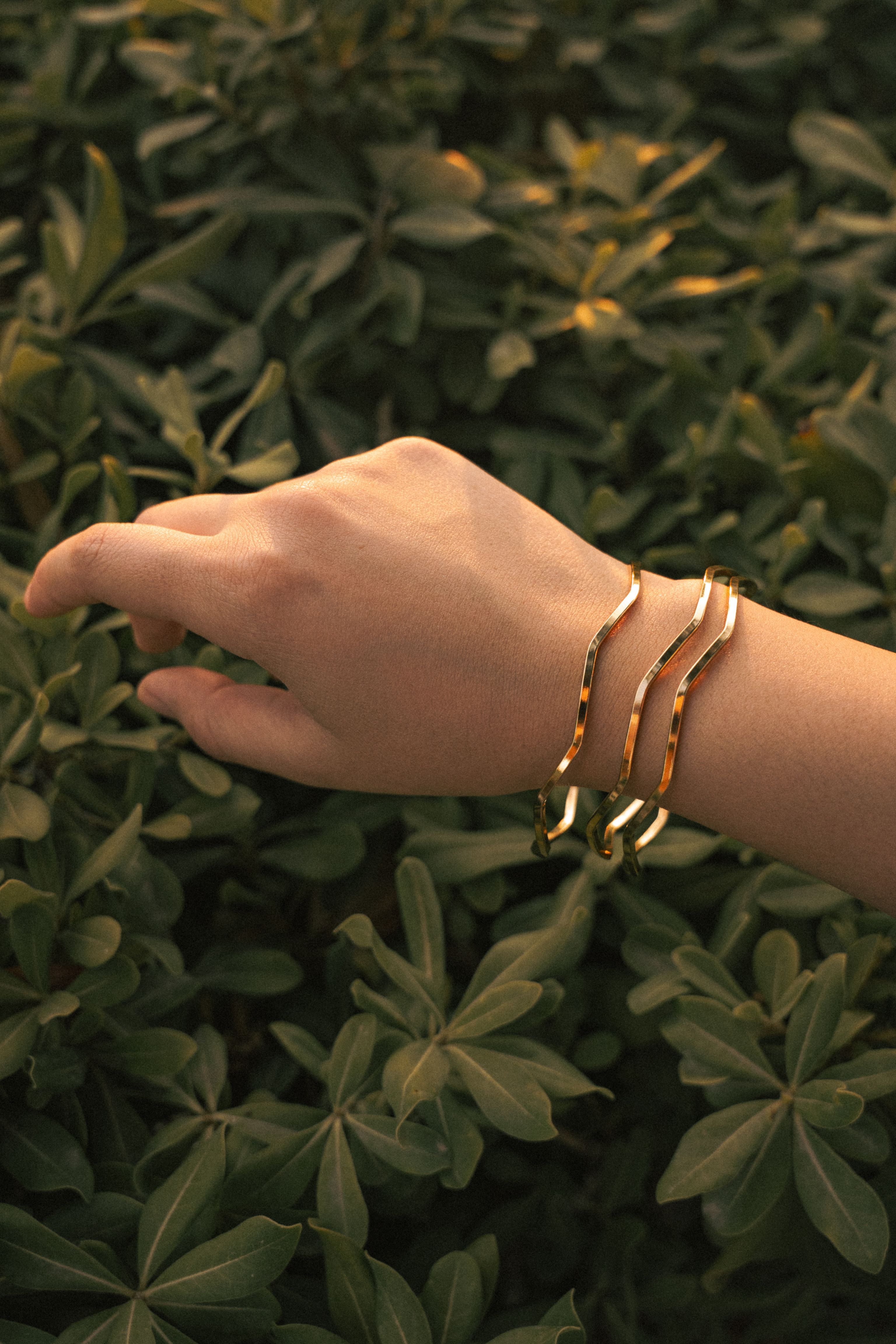 Elegant Woman's Hands Adorned with Gold Jewelry · Free Stock Photo