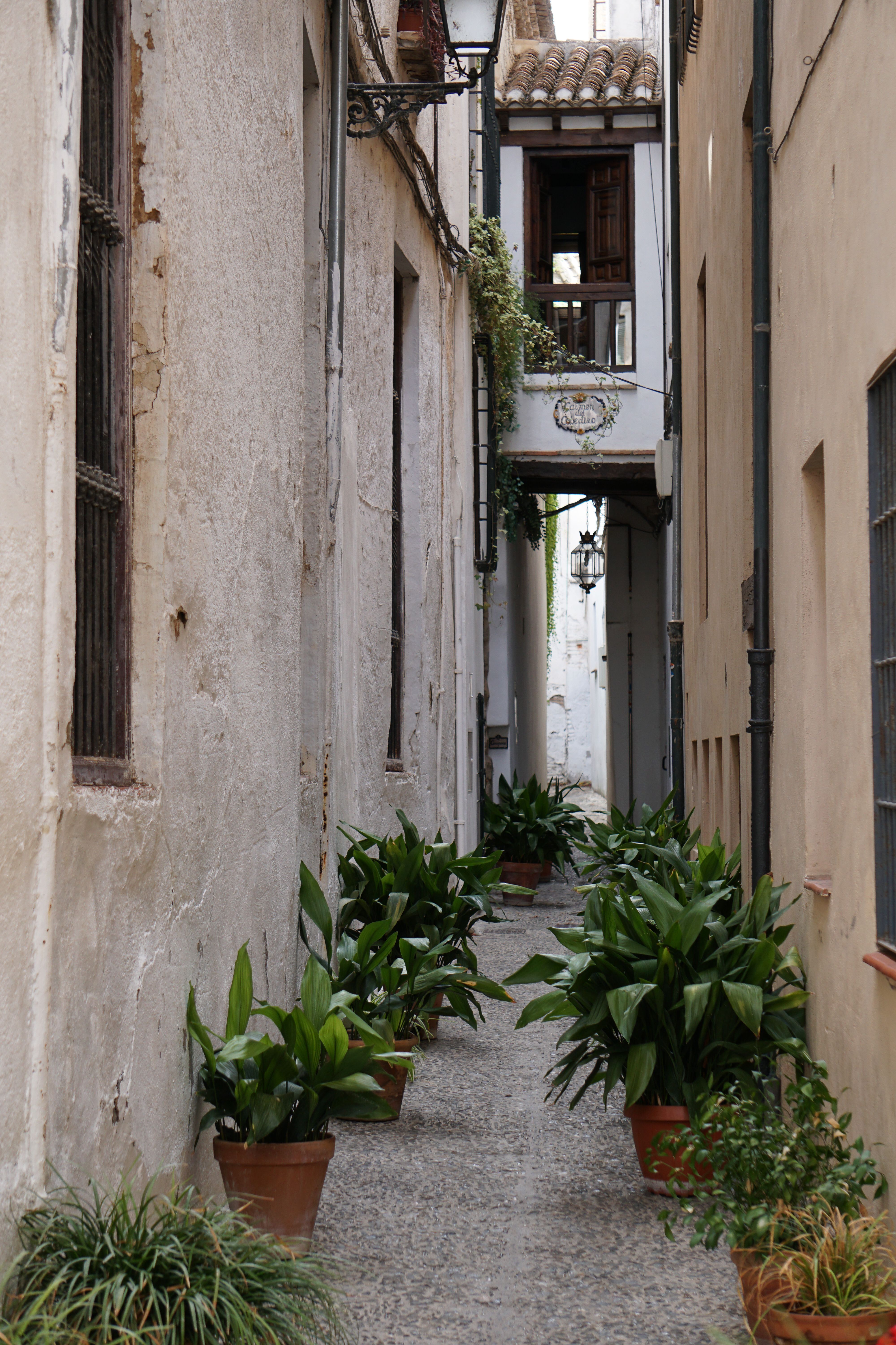 Un Encantador Callejón En Carro, Liguria, Italia · Foto de stock gratuita