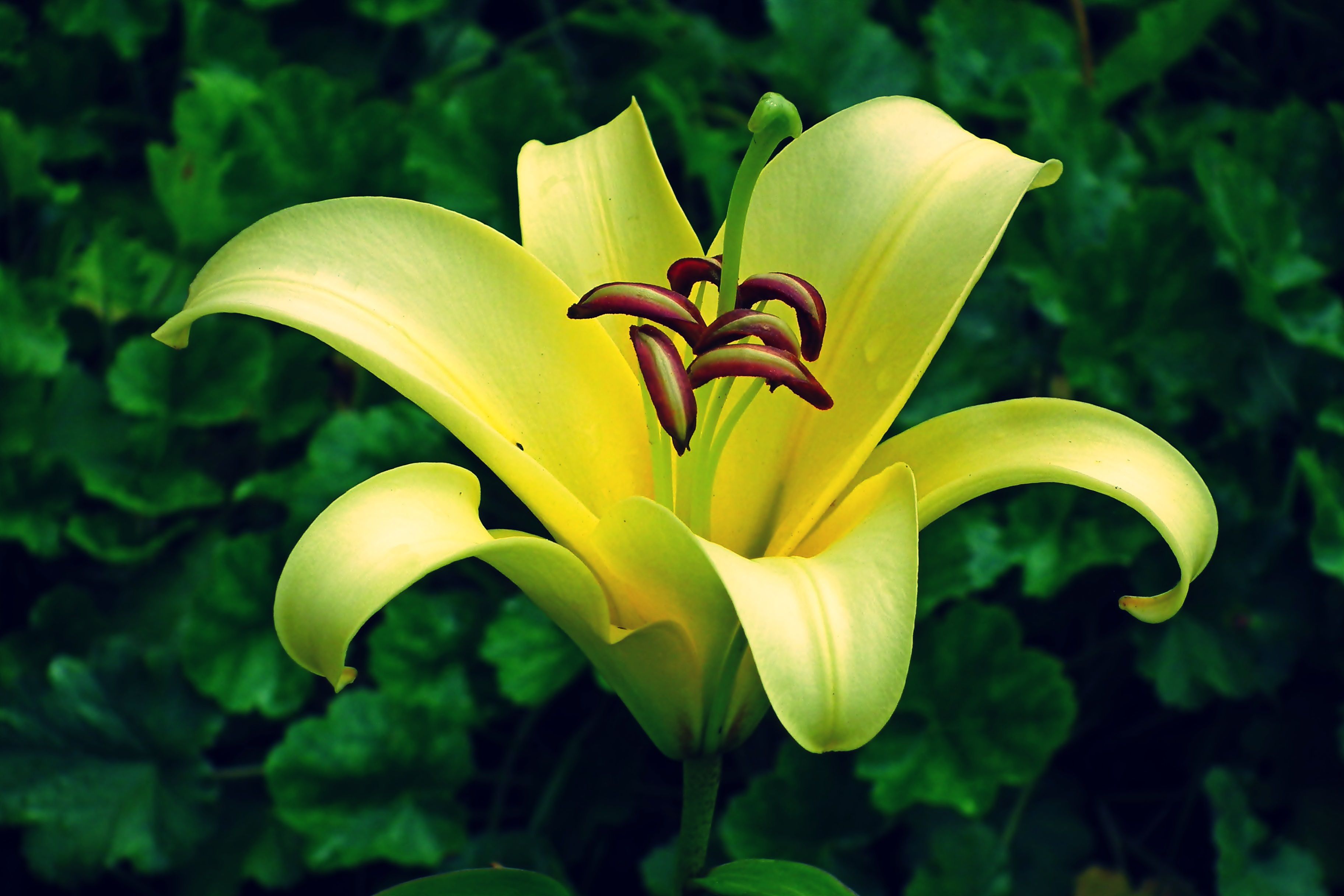 Sadi Background Photos, Download The BEST Free Sadi Background Stock ...