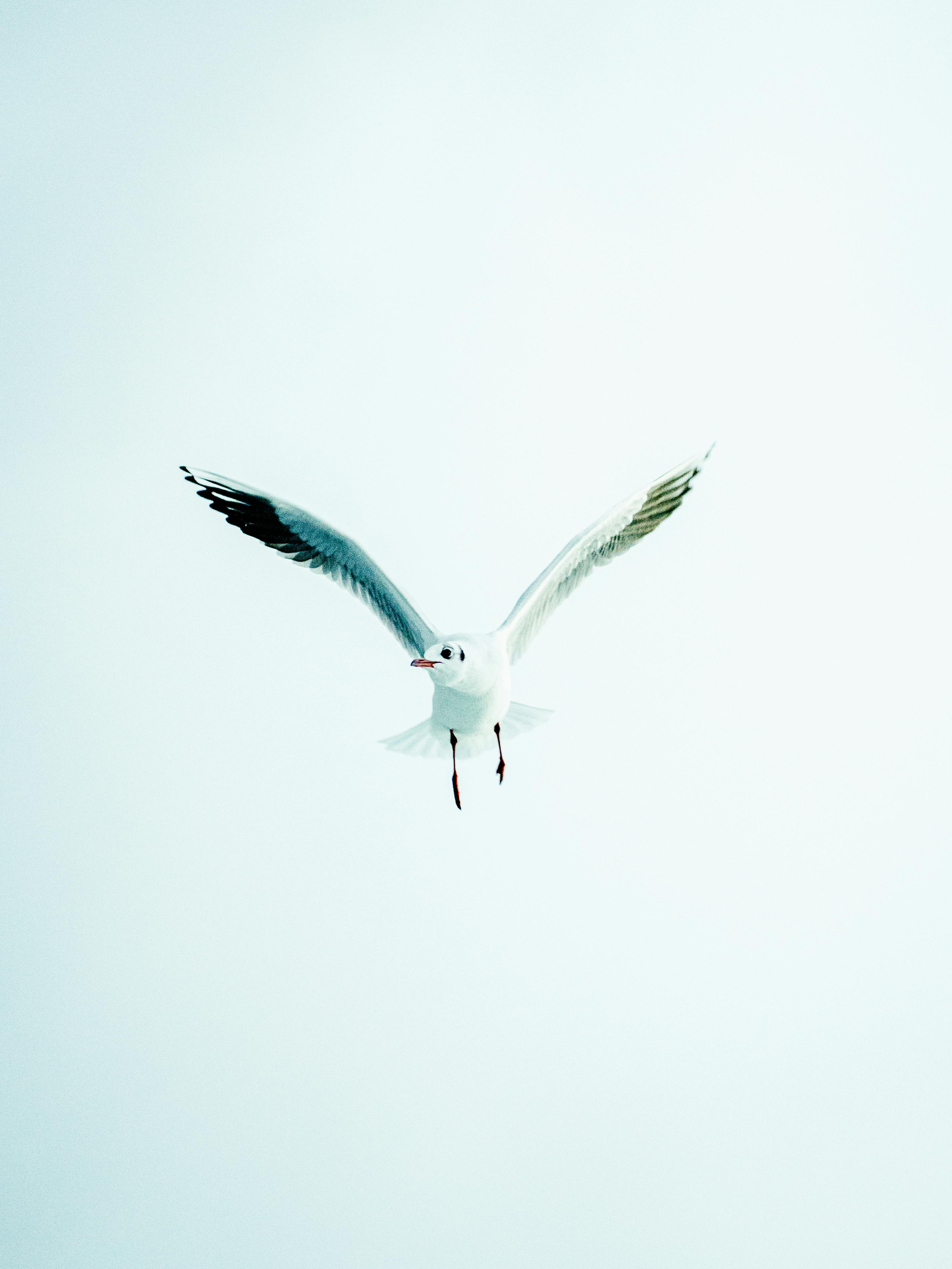 S1mple Signing Camera+Wallpaper Photos, Download The BEST Free S1mple ...