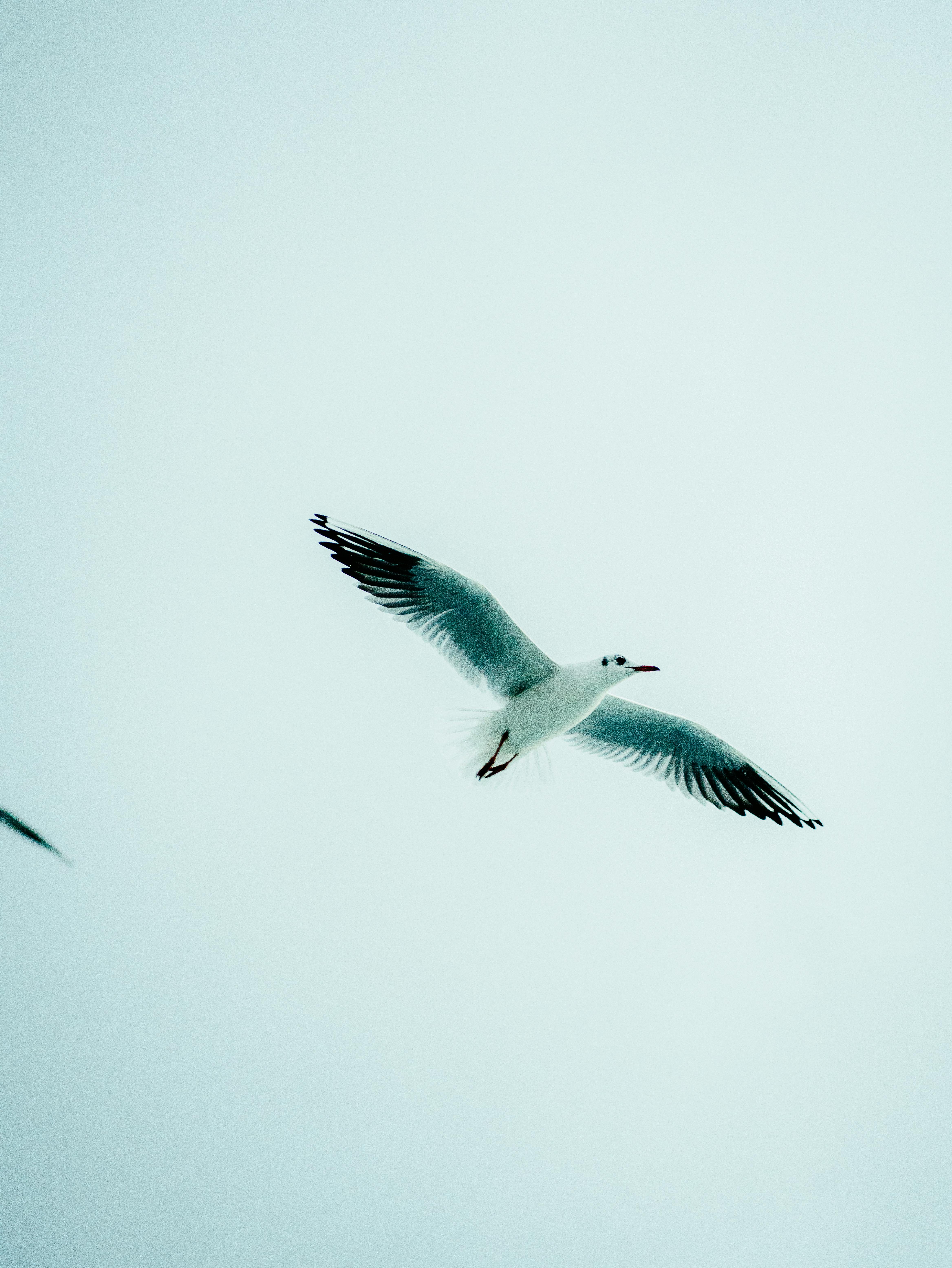 S1mple Signing Camera+Wallpaper Photos, Download The BEST Free S1mple ...