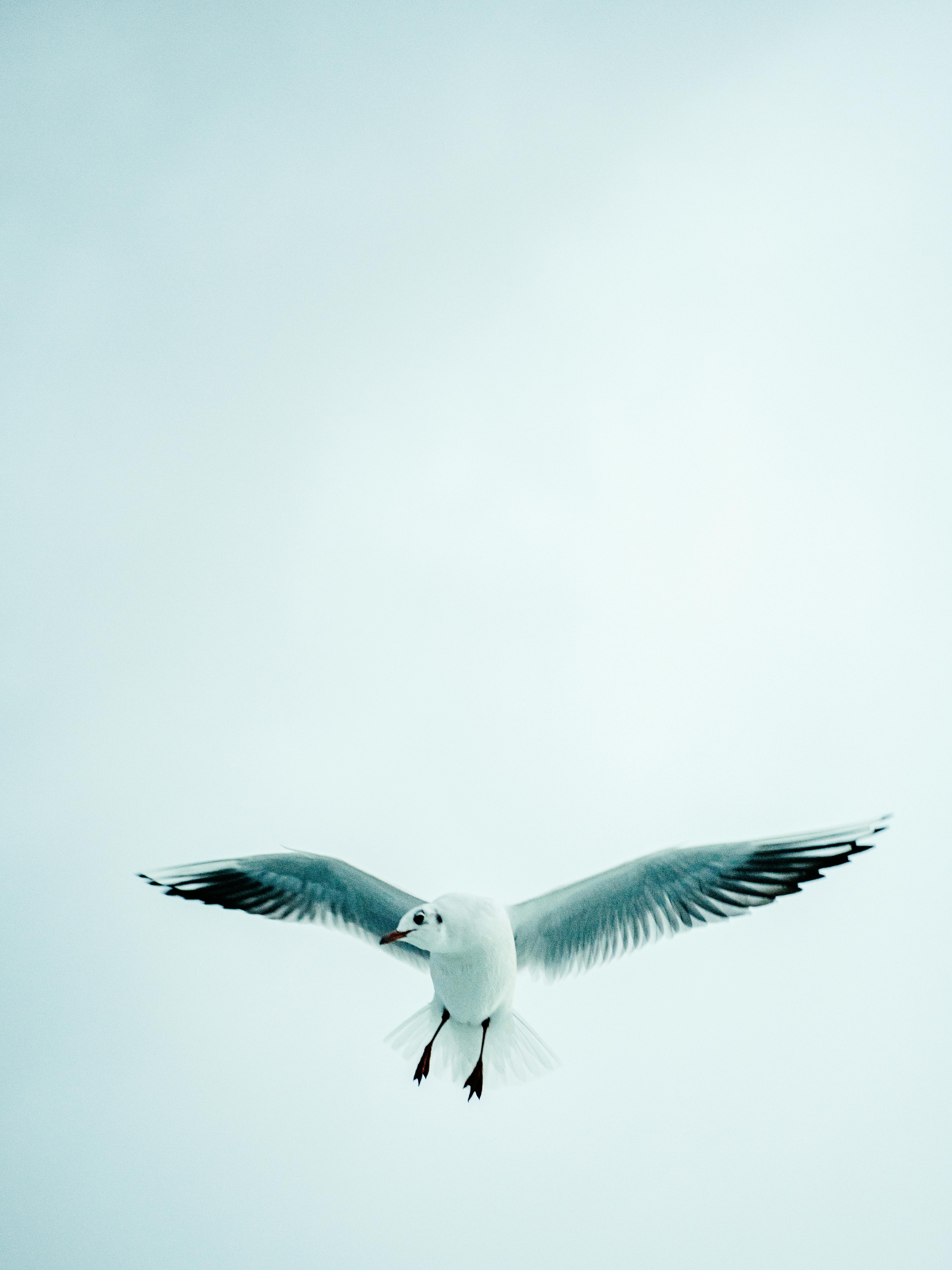 Mclaren F1 2026 Wallpaper Photos, Download The BEST Free Mclaren F1 ...