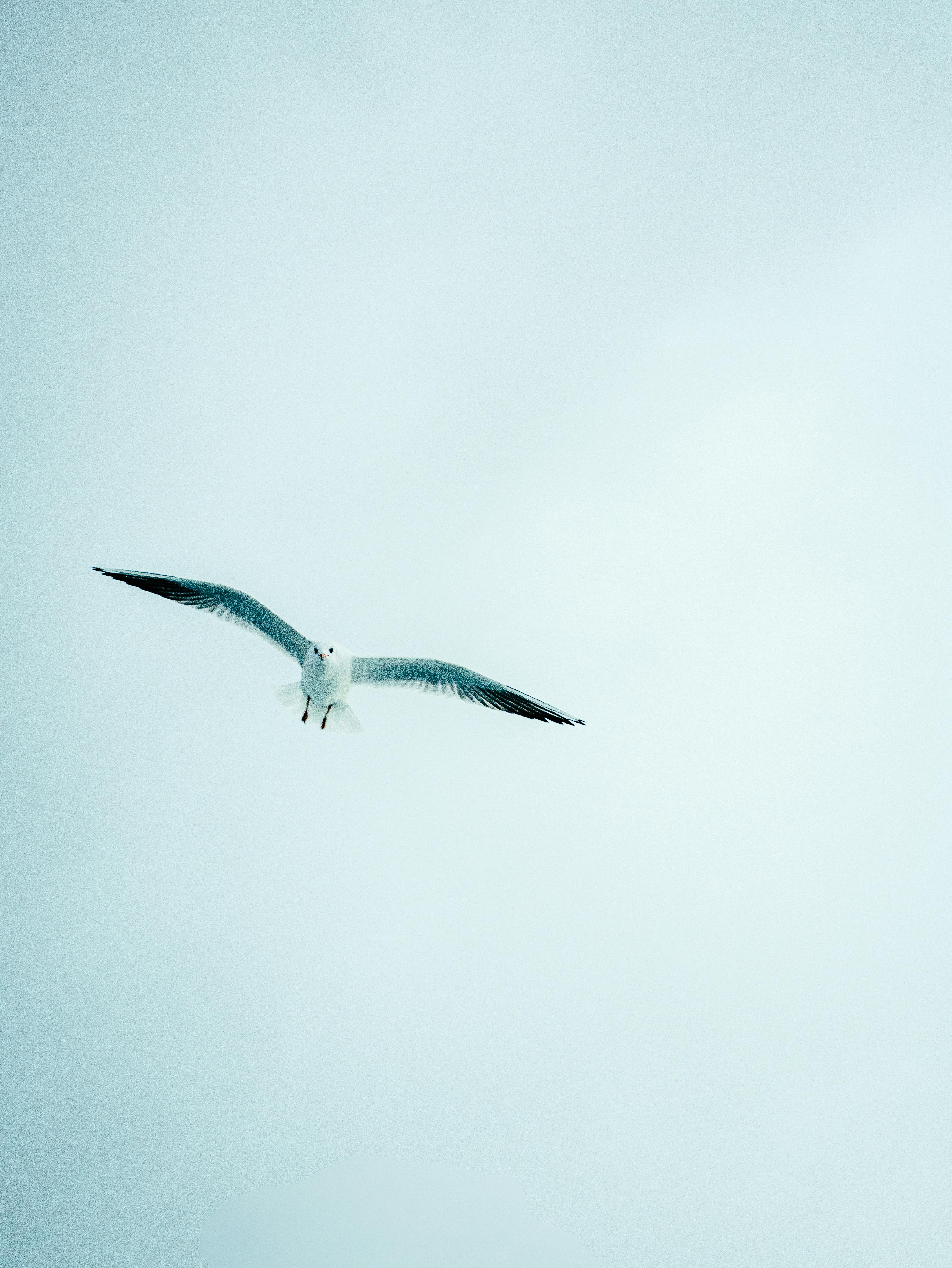 Mclaren F1 2026 Wallpaper Photos, Download The BEST Free Mclaren F1 ...