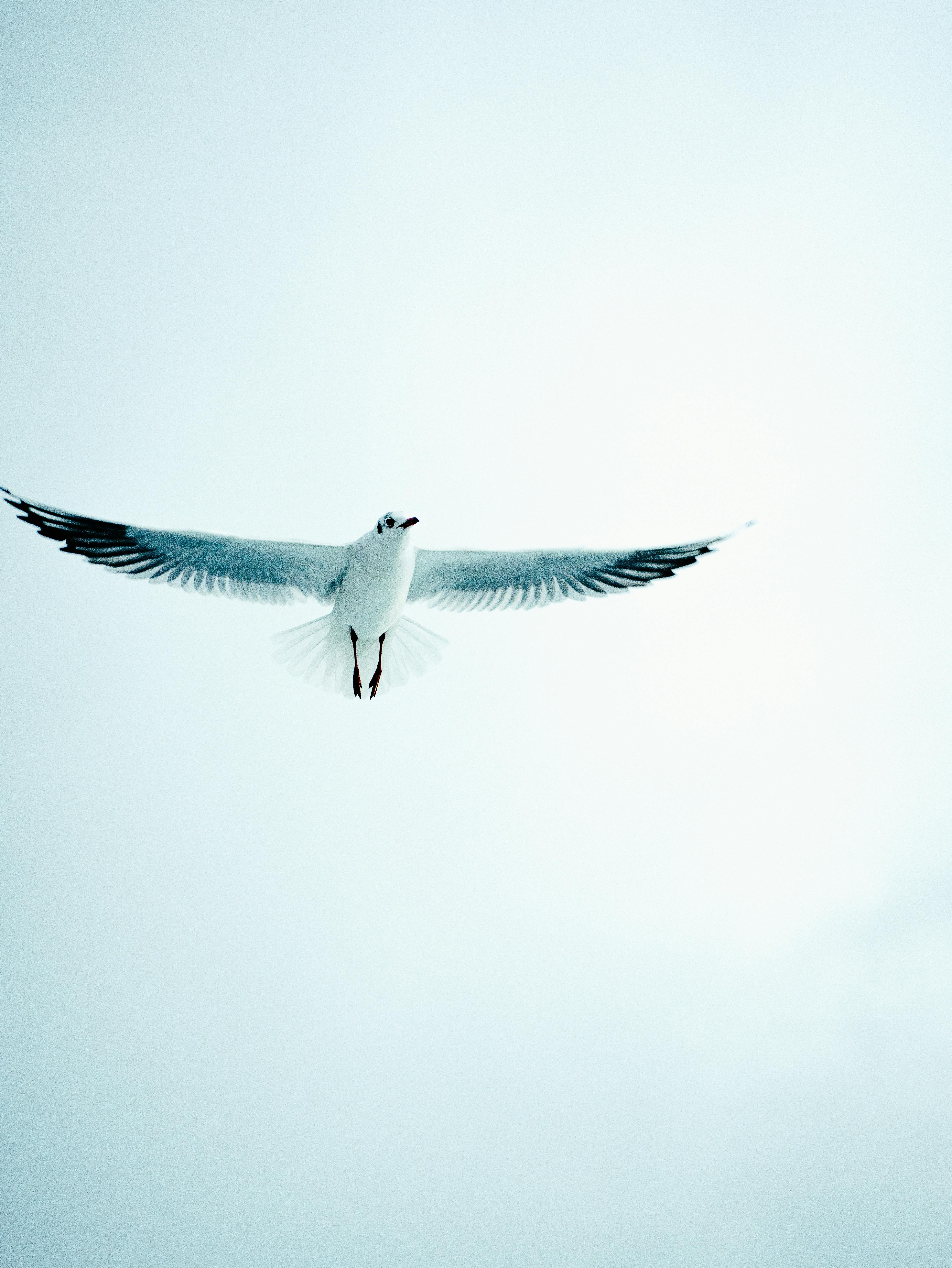 S1mple Signing Camera+Wallpaper Photos, Download The BEST Free S1mple ...