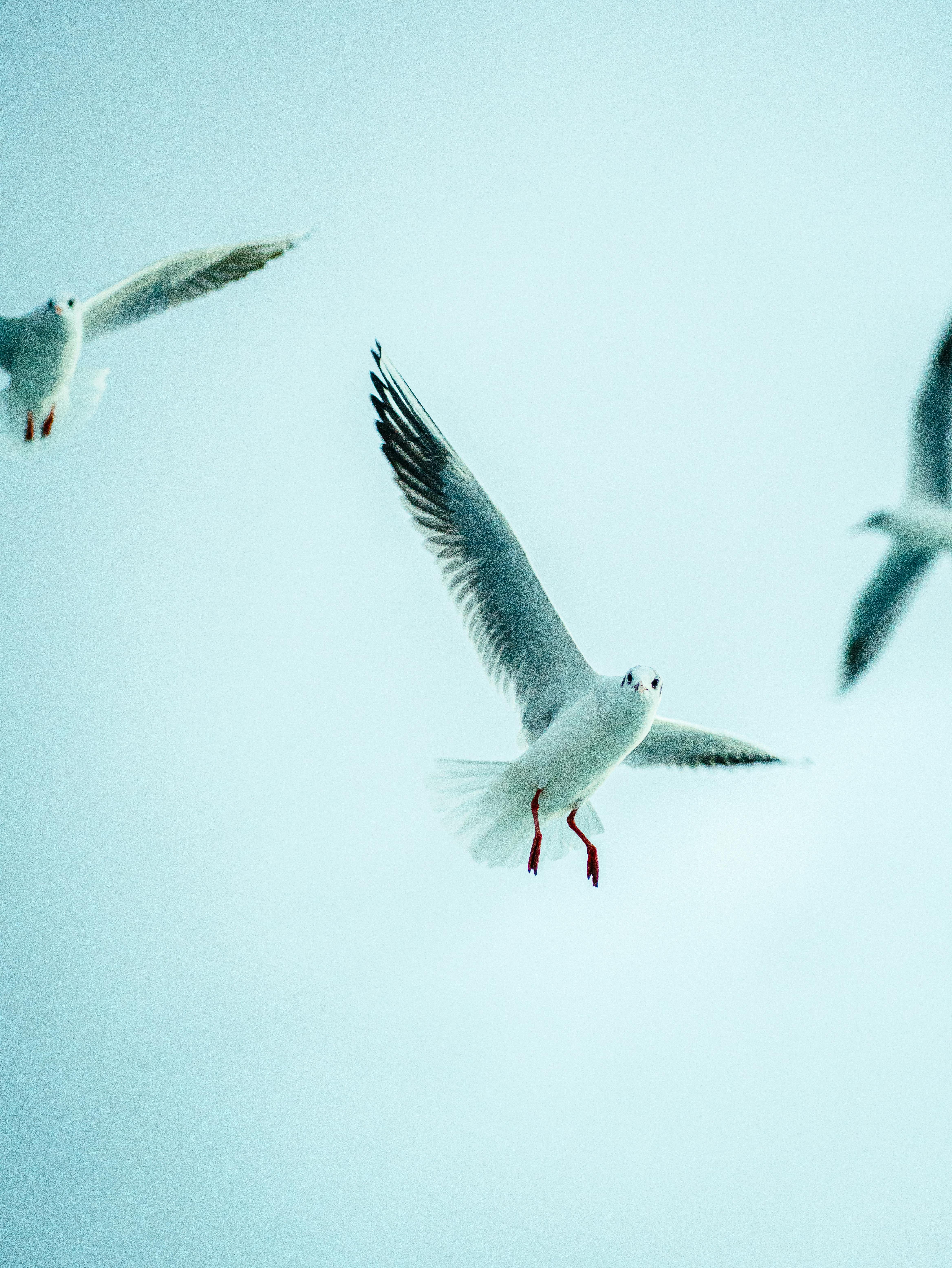 S1mple Signing Camera+Wallpaper Photos, Download The BEST Free S1mple ...