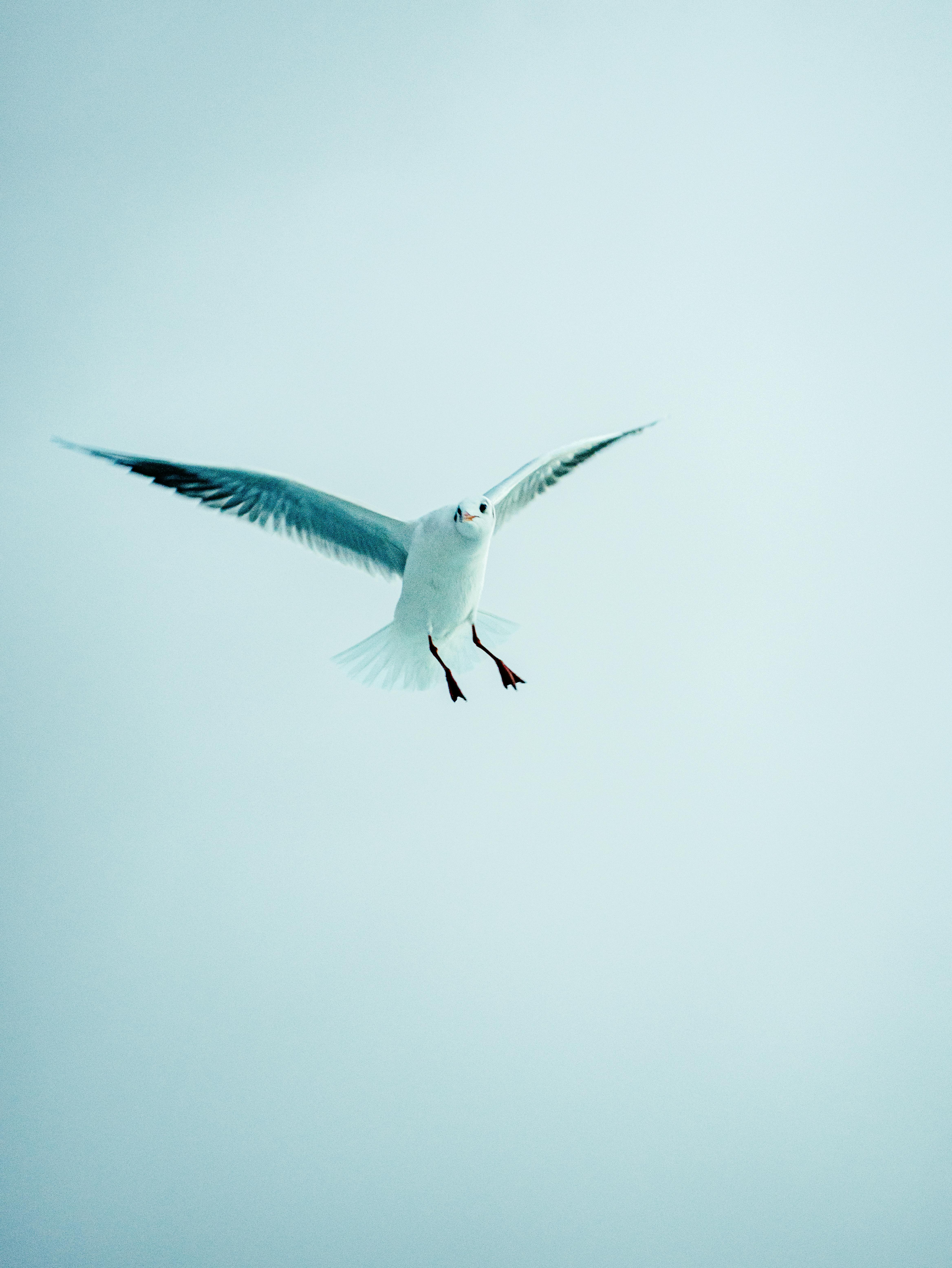 S1mple Signing Camera+Wallpaper Photos, Download The BEST Free S1mple ...