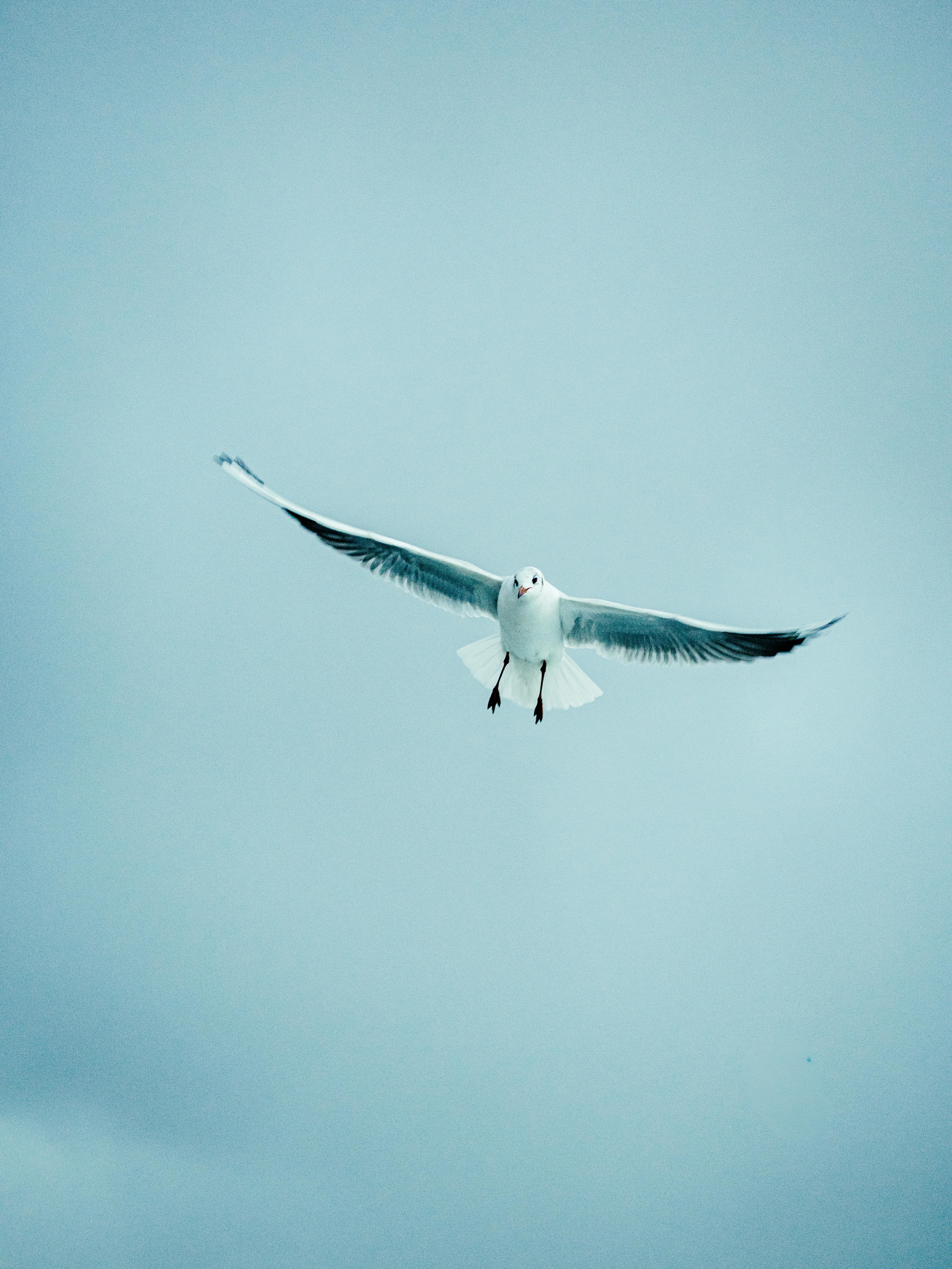 S1mple Signing Camera+Wallpaper Photos, Download The BEST Free S1mple ...