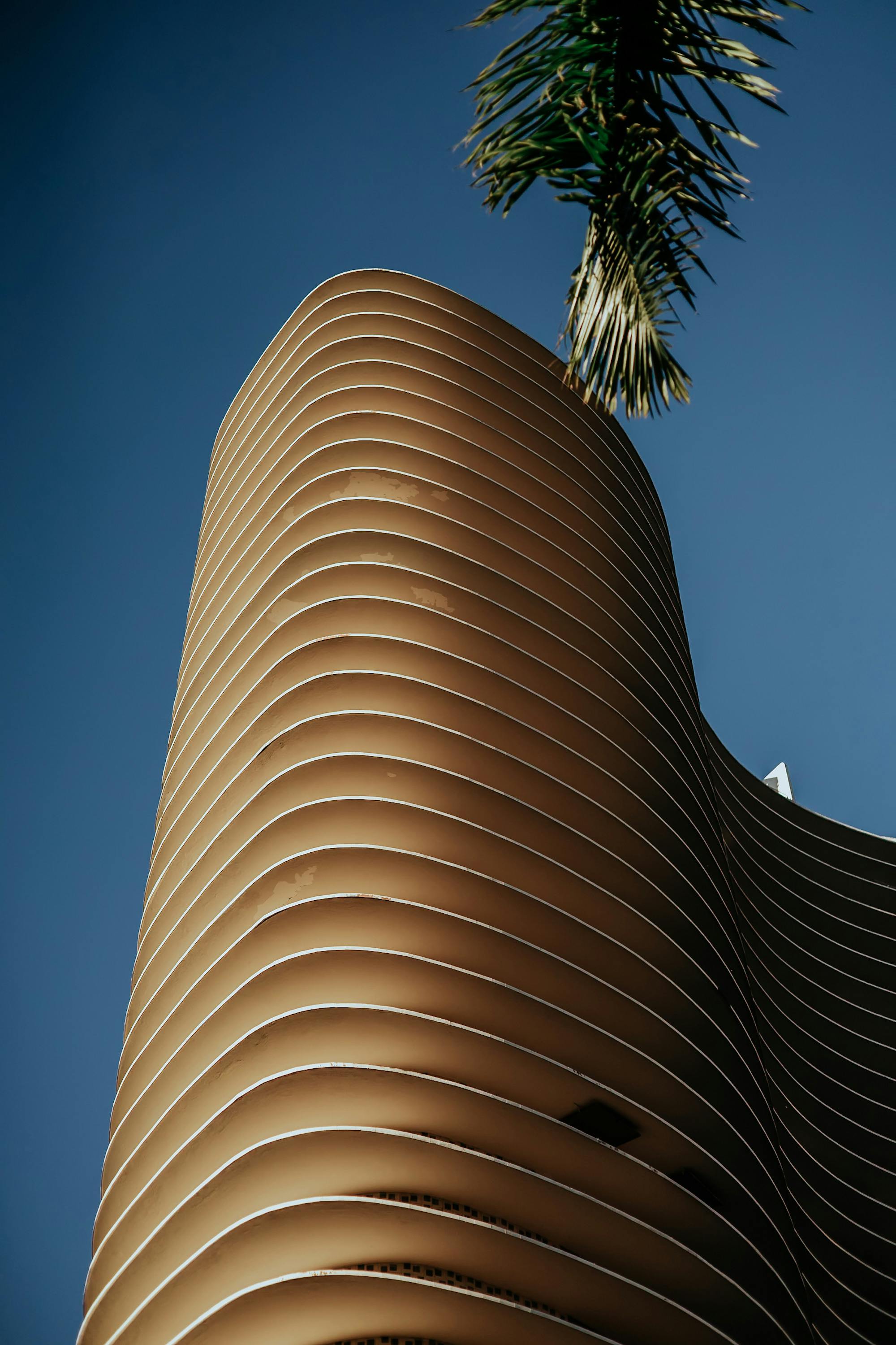 Linger+Serviços+Gerais Photos, Download The BEST Free Linger+Serviços ...