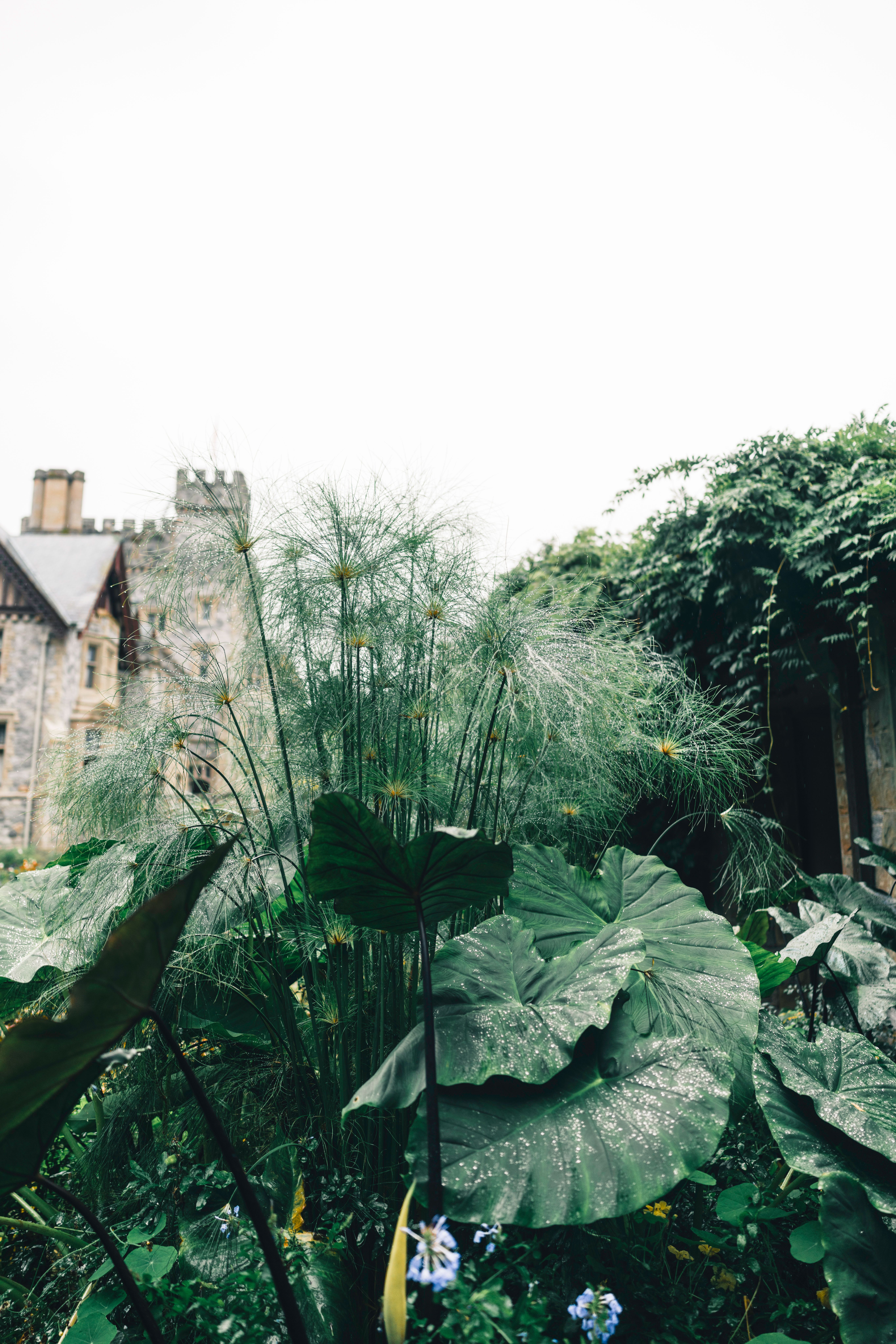 Elegant Garden Scene at Historical Castle · Free Stock Photo