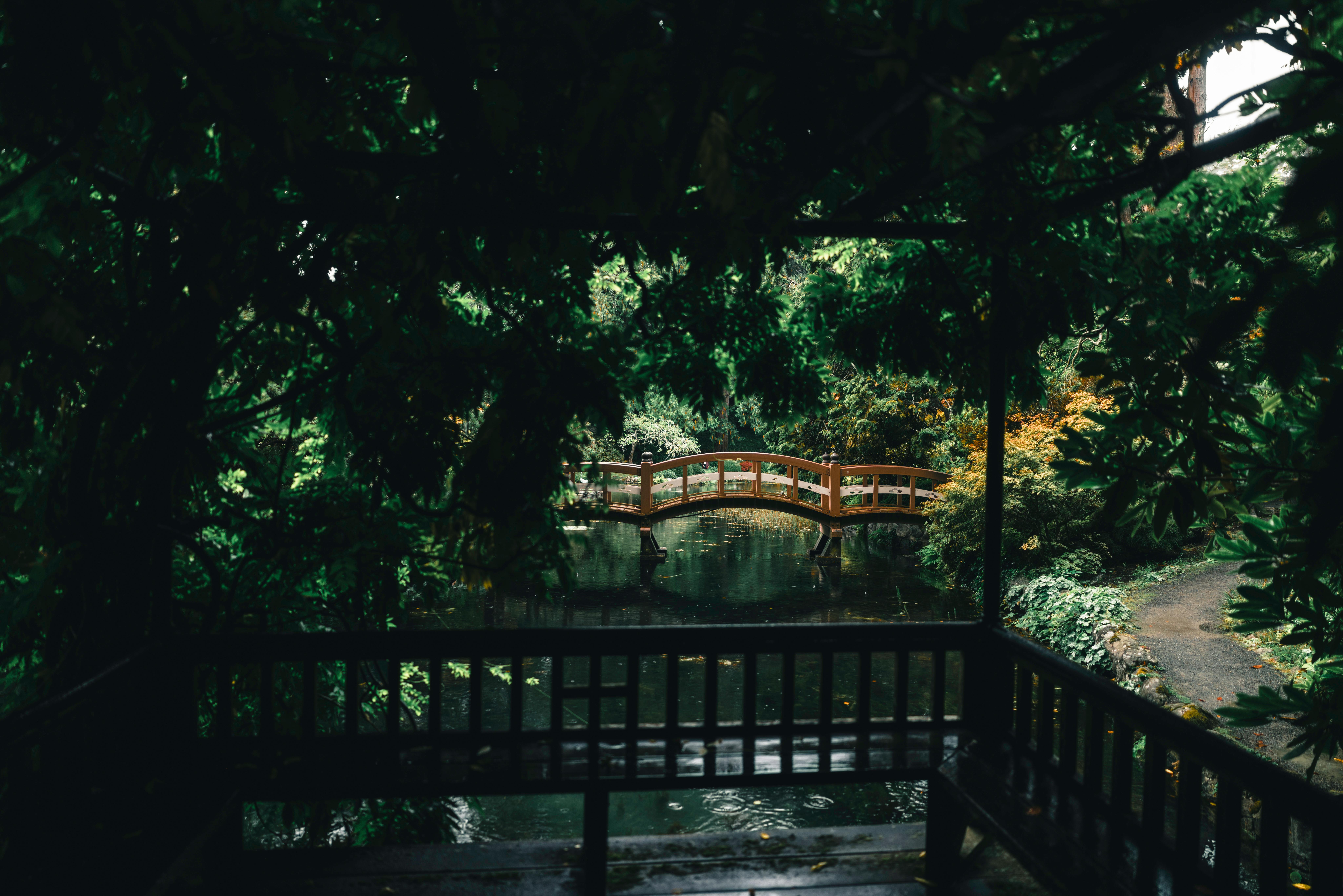 Serene Japanese Garden Bridge in Victoria BC · Free Stock Photo