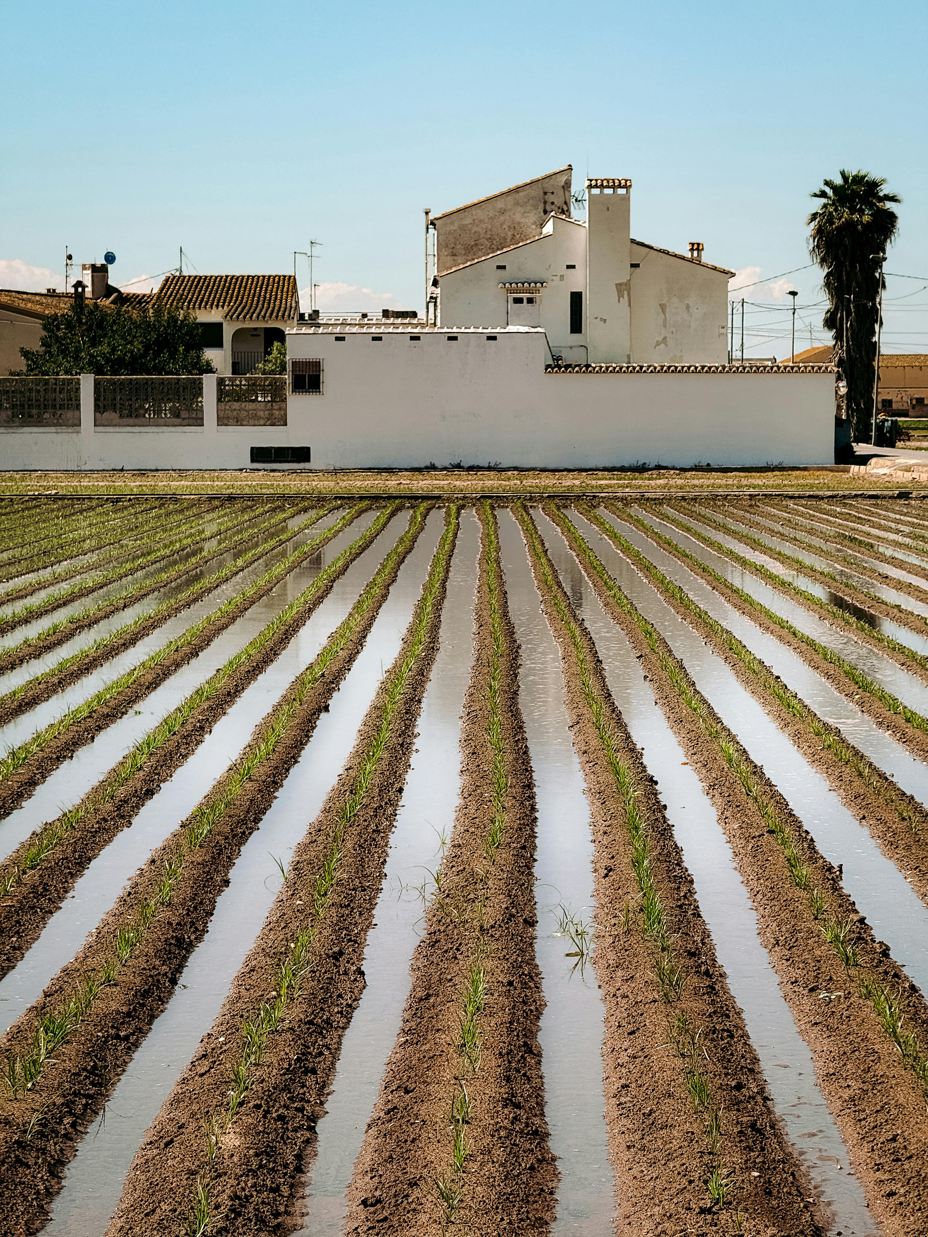 Declan+Rice+Nude Photos, Download The BEST Free Declan+Rice+Nude Stock ...